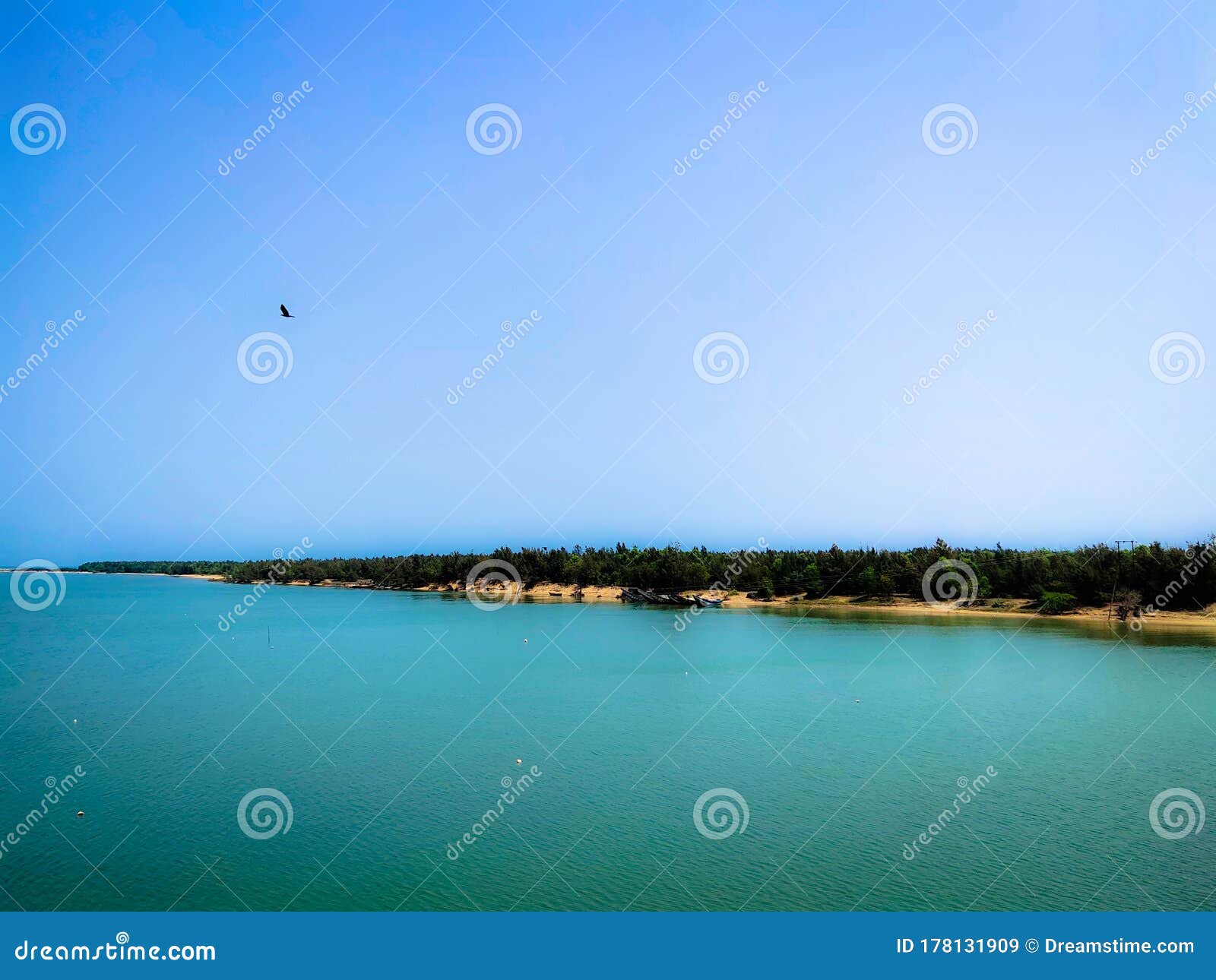 The Most Beautiful Indian River Flow through Sonpur into the Bay of ...