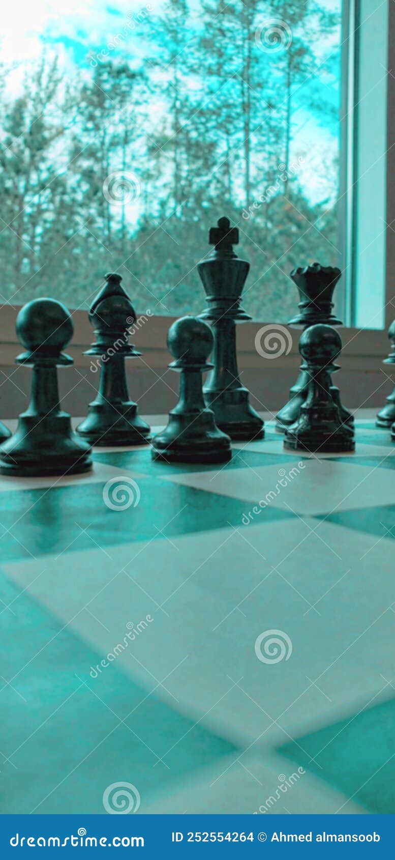 These are the Most Beautiful Pictures of Chess Stock Photo - Image of ...