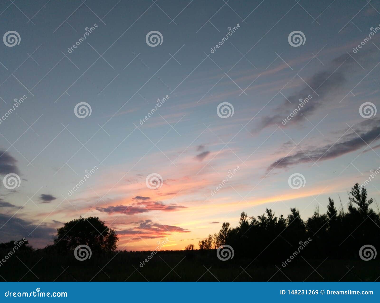 The Most Beautiful Sunset Over the Forest Stock Image - Image of forest ...