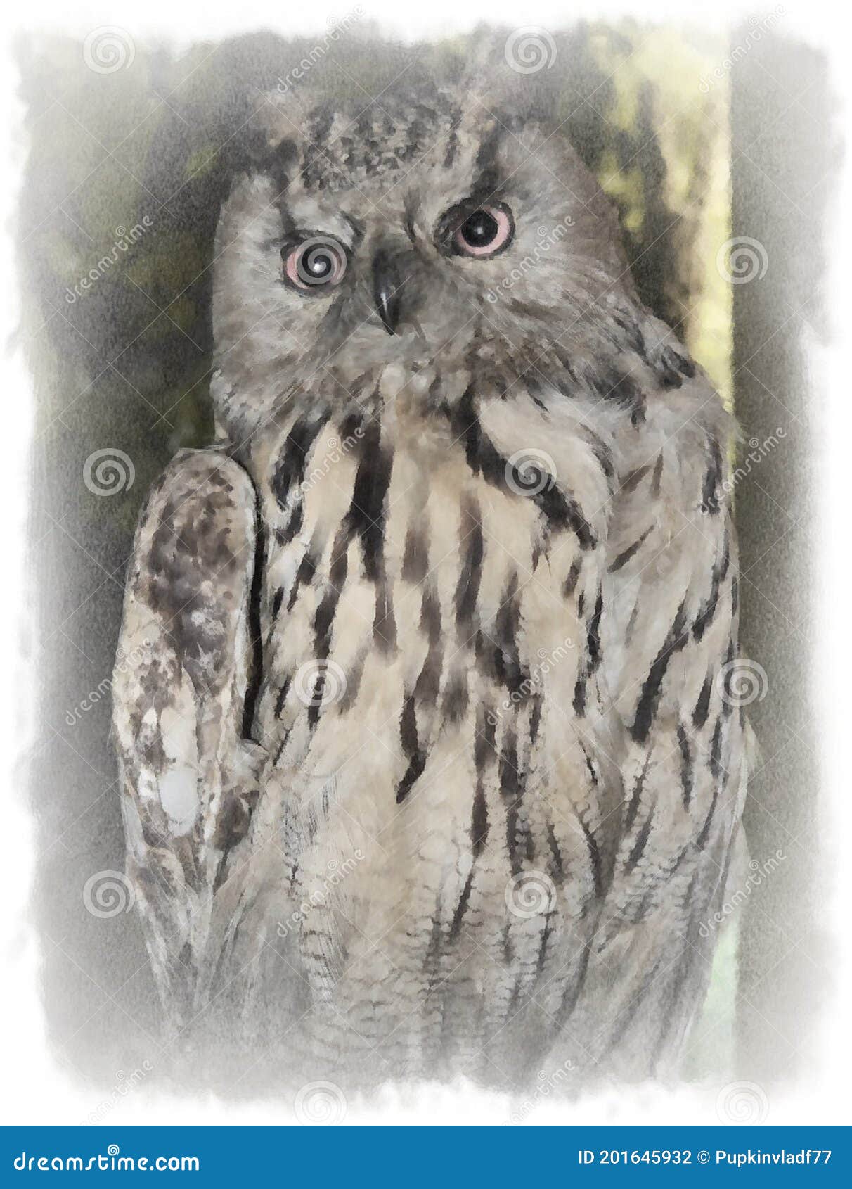 Filin is a Bird of Prey of the Owl Family Stock Illustration ...