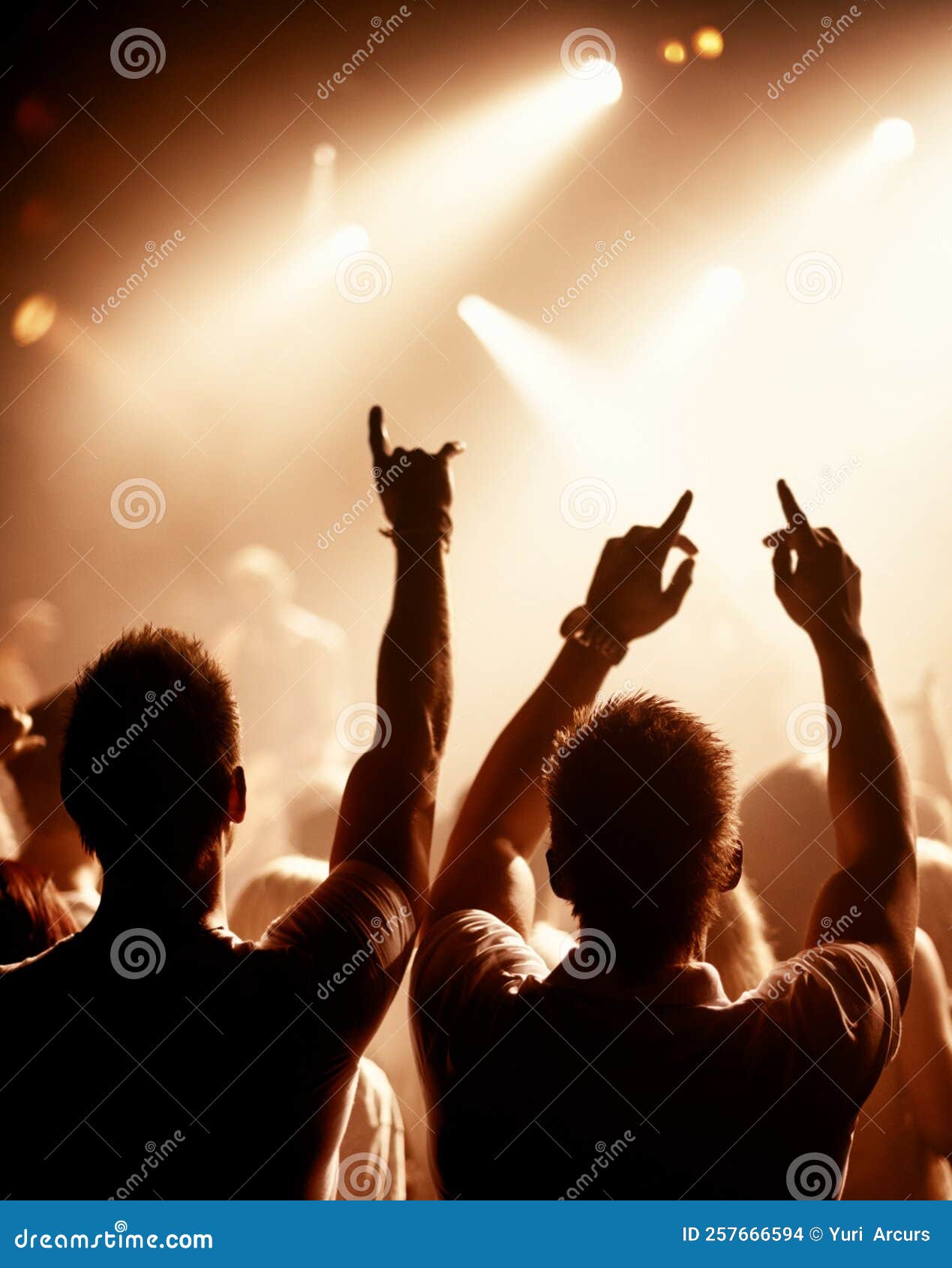 Young People Getting into the Music at an Awesome Concert Stock Photo ...