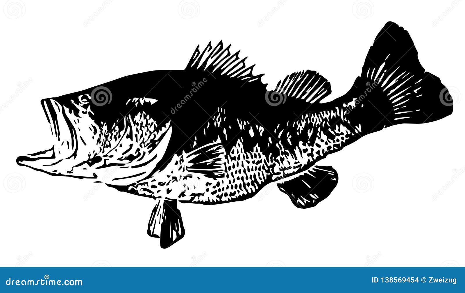Trophy Largemouth Bass Fish on Black Background Stock Illustration ... Trophy Largemouth Bass Fish on Black Background Stock Illustration ...