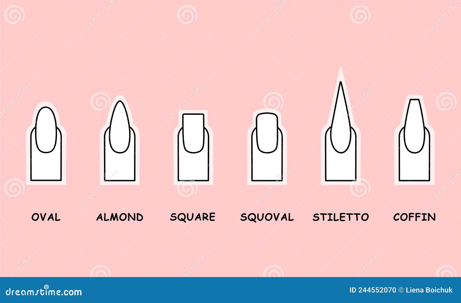 The Most Popular Nail Shapes Pink Background Vector Illustration Stock ...