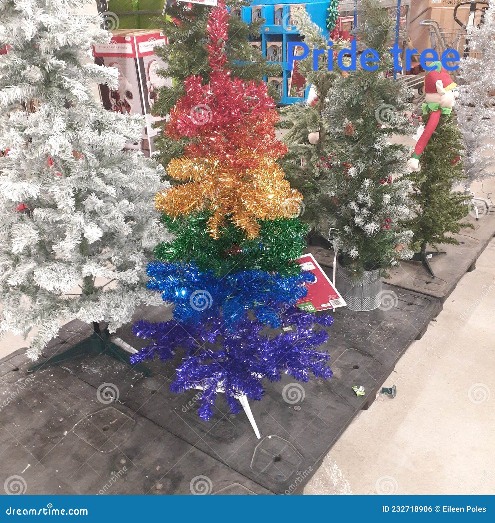 The most proud tree stock photo. Image of tree, bouquet - 232718906