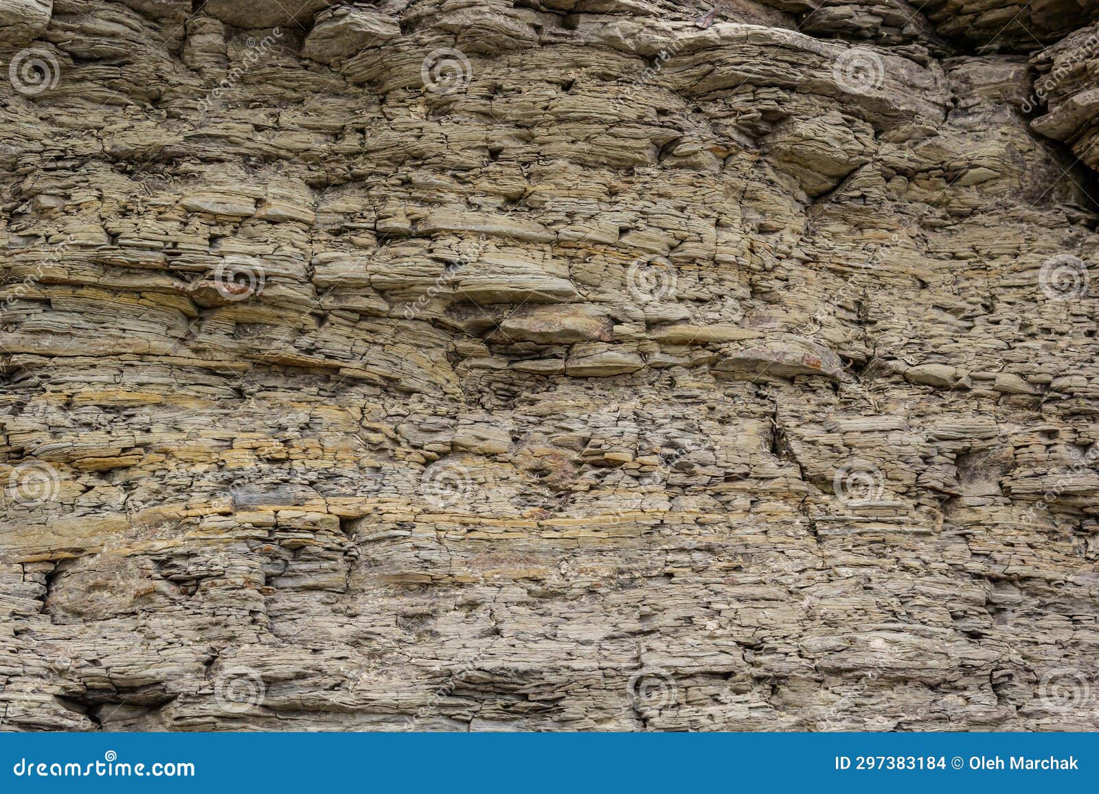 Most of the Rocks Exposed at the Surface of Earth are Sedimentary Rock ... Most of the Rocks Exposed at the Surface of Earth are Sedimentary Rock ...