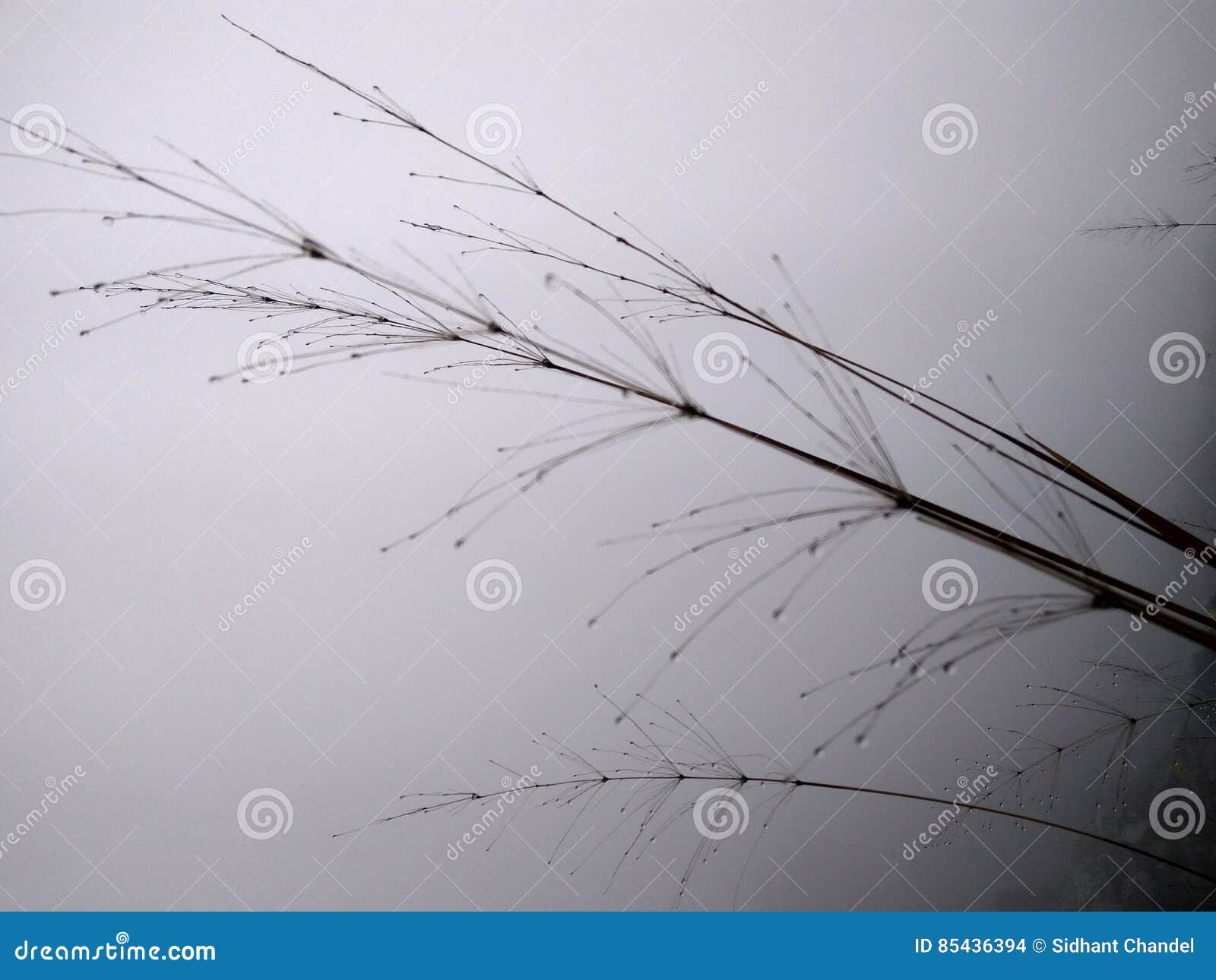 Most silent photo stock photo. Image of silent, symbol - 85436394