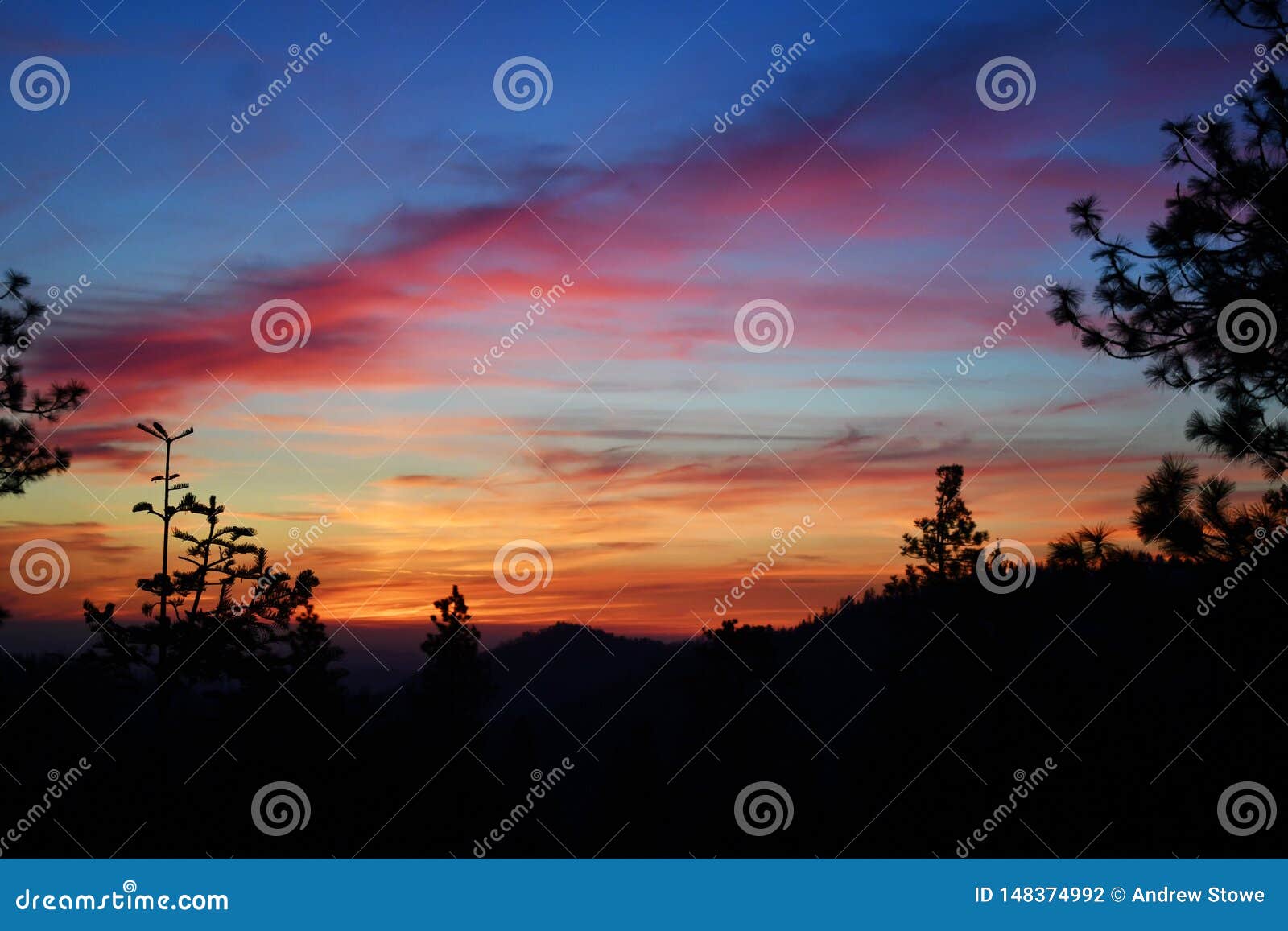 A Most Stunning Sunset Hike Stock Photo - Image of tree, beam: 148374992