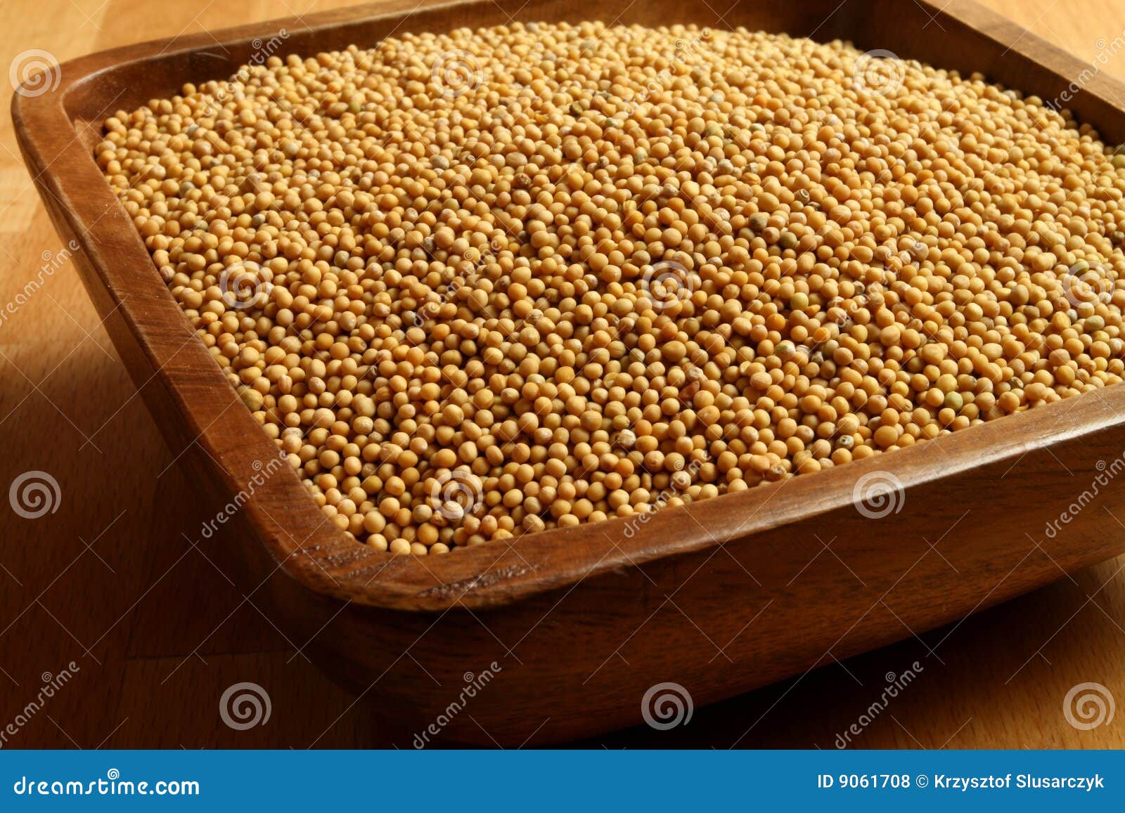 Mostarda foto de stock. Imagem de alimento, sabor, semente - 9061708