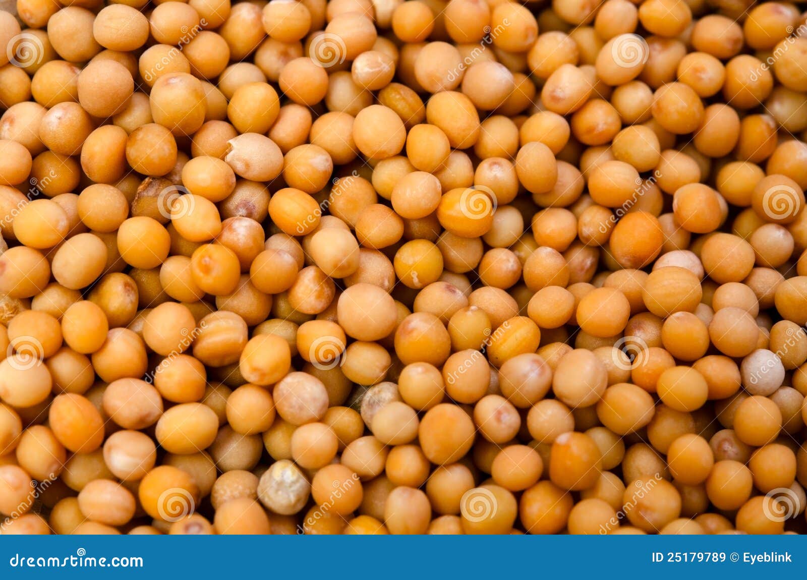 Mostarda amarela imagem de stock. Imagem de vegetal, mostarda - 25179789