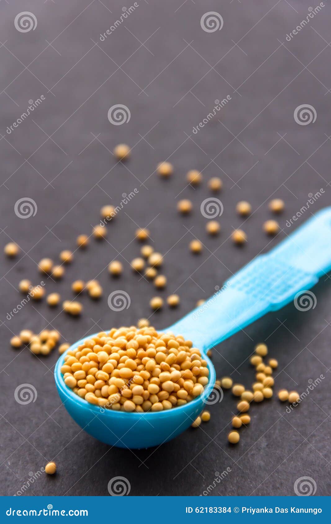 Mostarda branca foto de stock. Imagem de ingrediente - 62183384