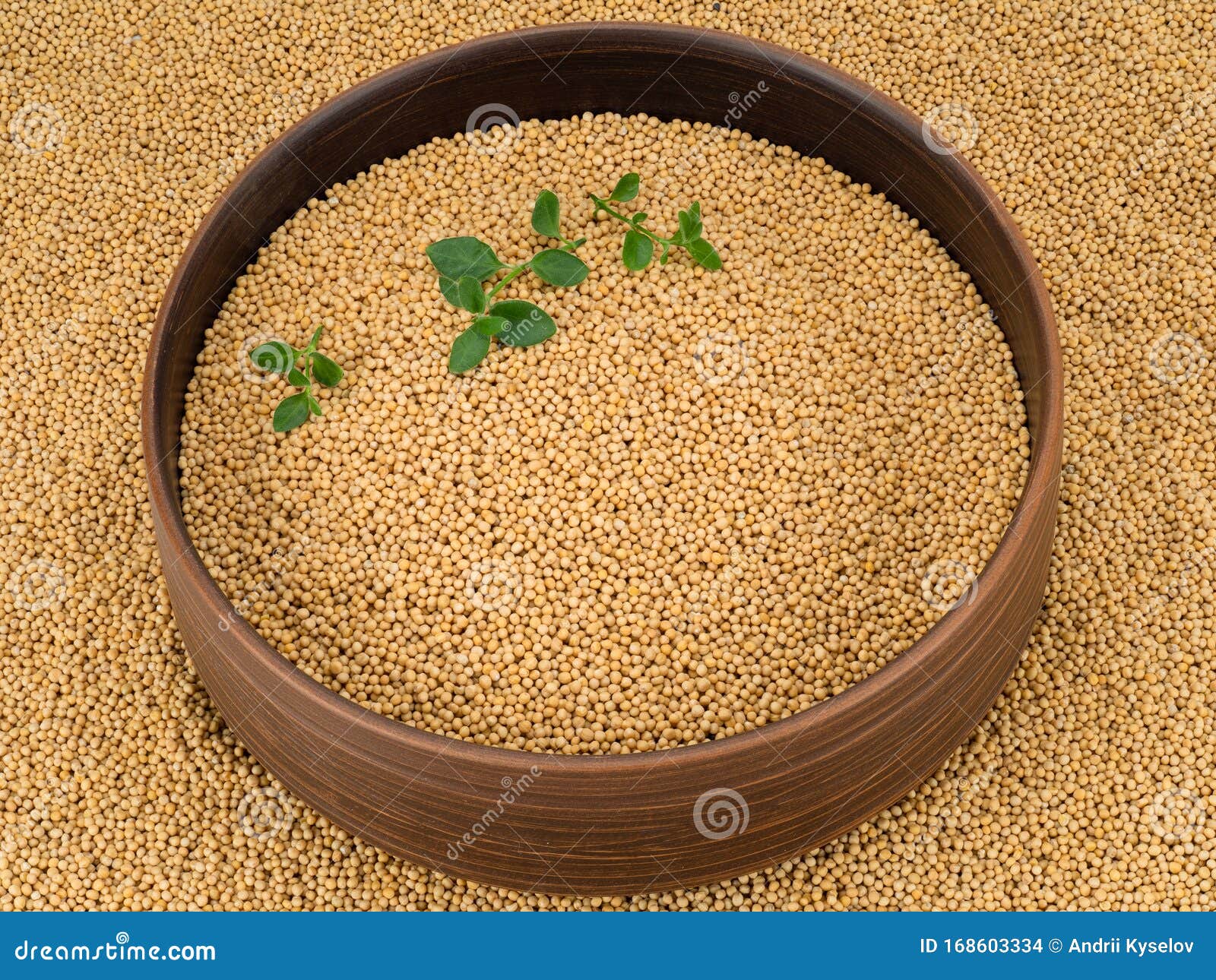 Mostarda Em Placas E Sementes De Mostarda Foto de Stock - Imagem de ...