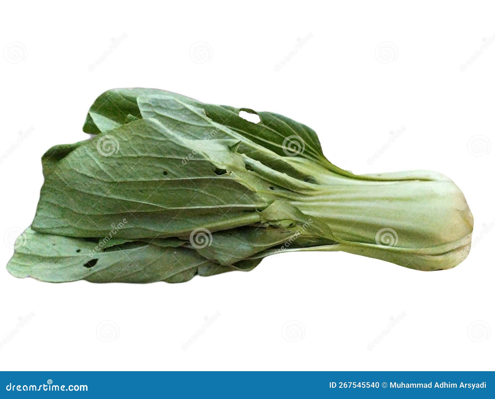 Mostaza Verde Aislada Sobre Fondo Blanco Foto de archivo - Imagen de ...