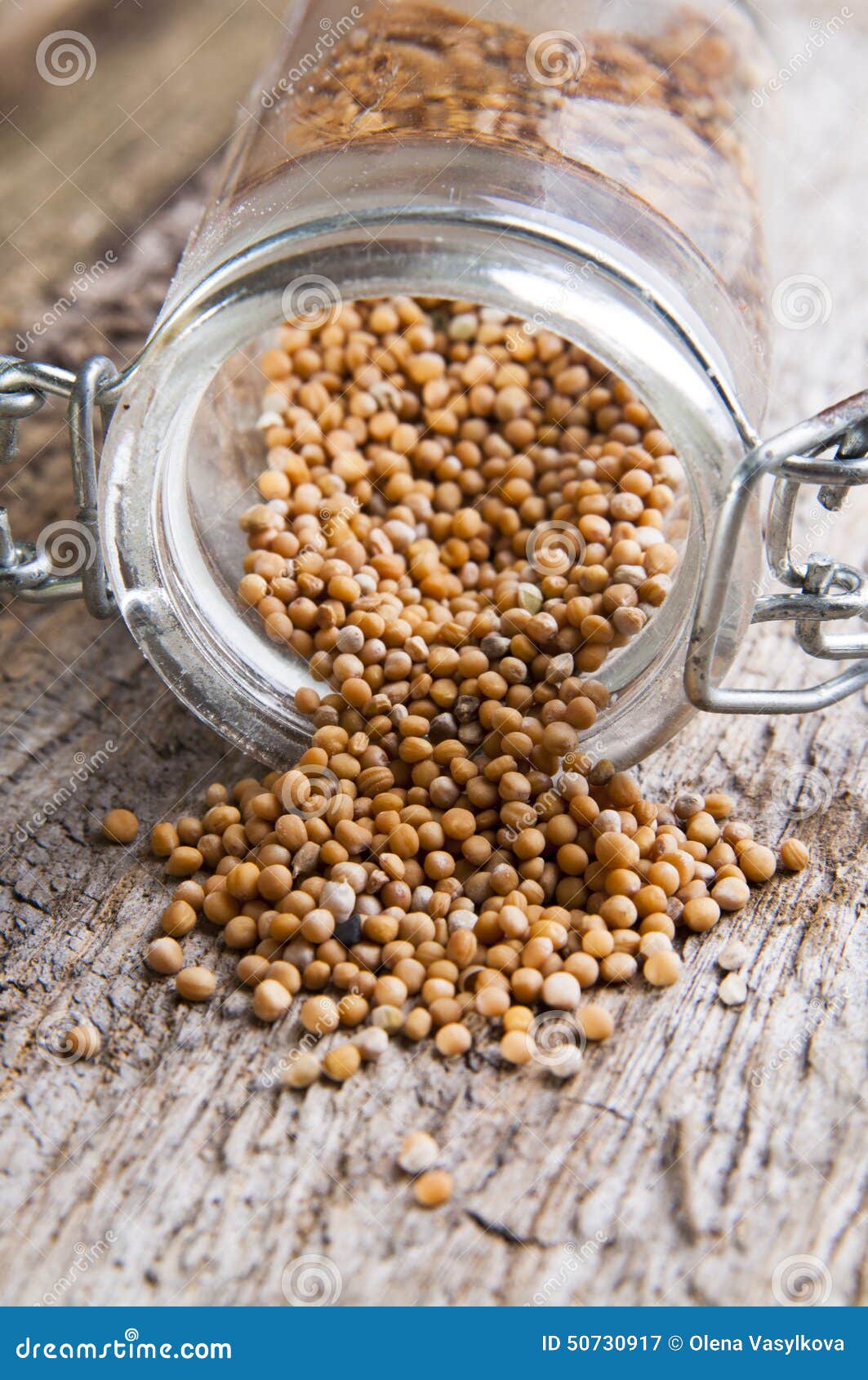 Mosterd stock afbeelding. Image of nave, kruid, poeder - 50730917