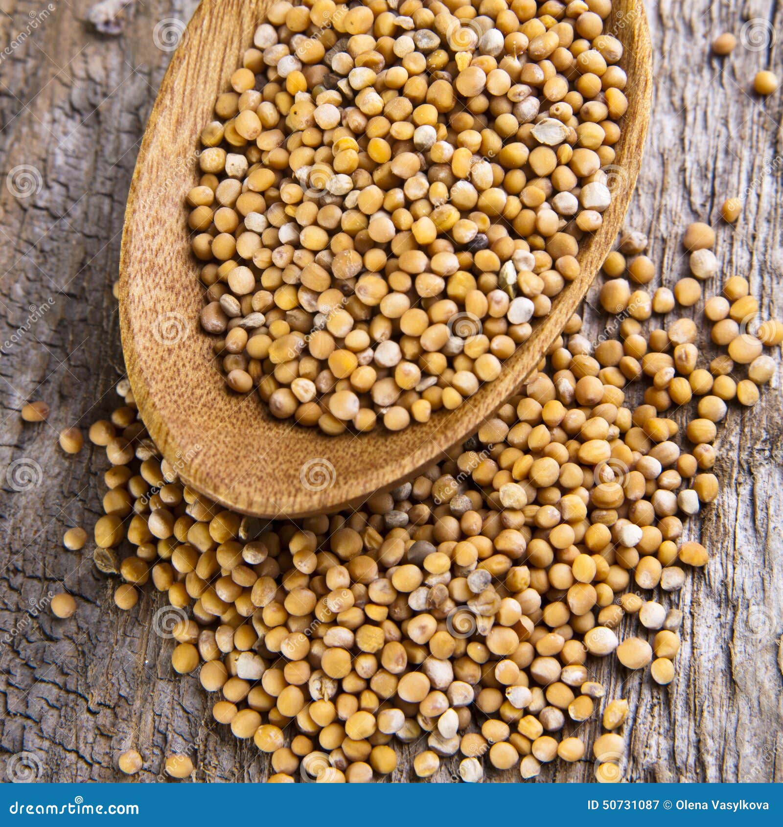 Mosterd stock afbeelding. Image of begeleidingsverschijnsel - 50731087