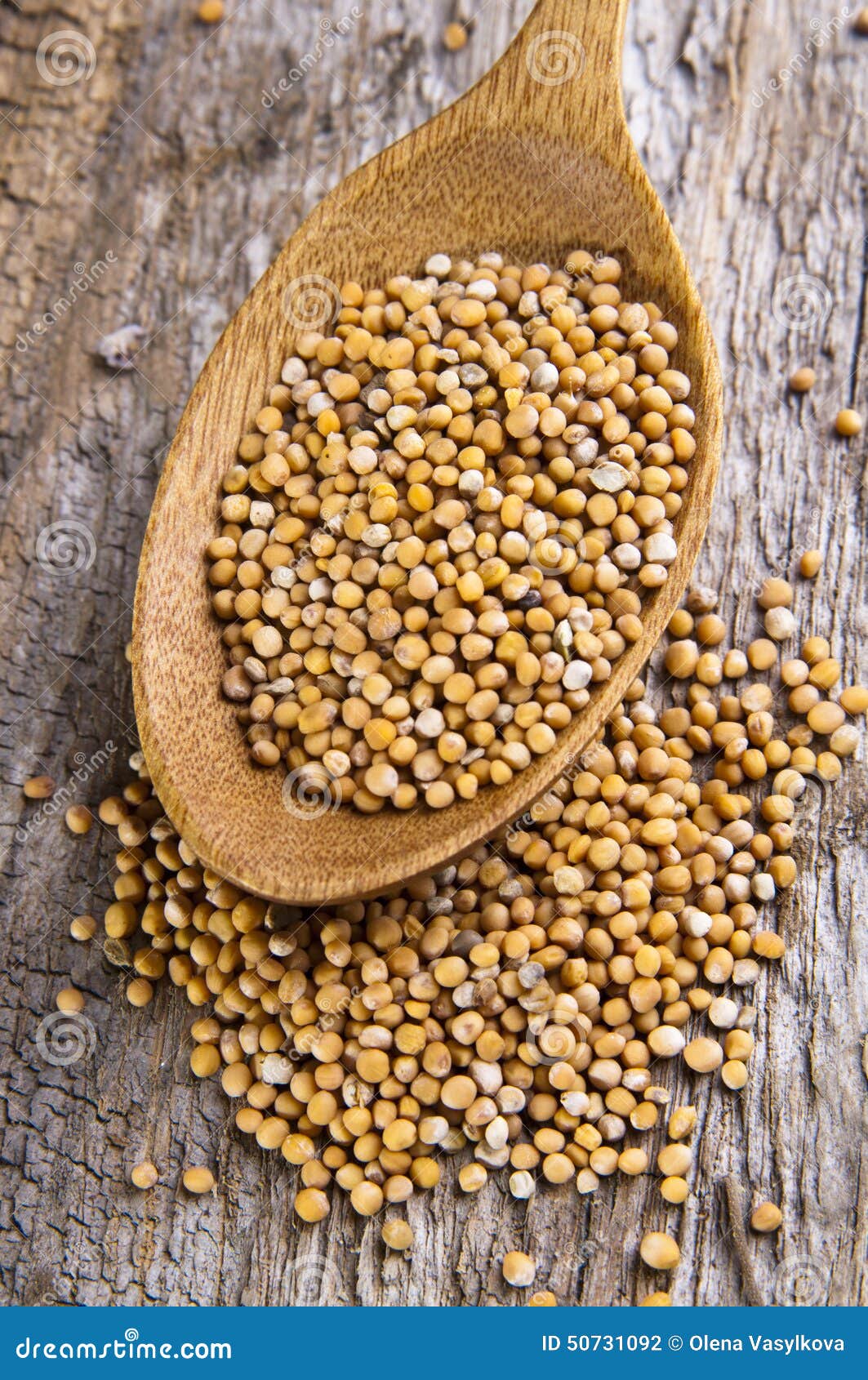 Mosterd stock foto. Image of maaltijd, ingrediënt, kruiden - 50731092