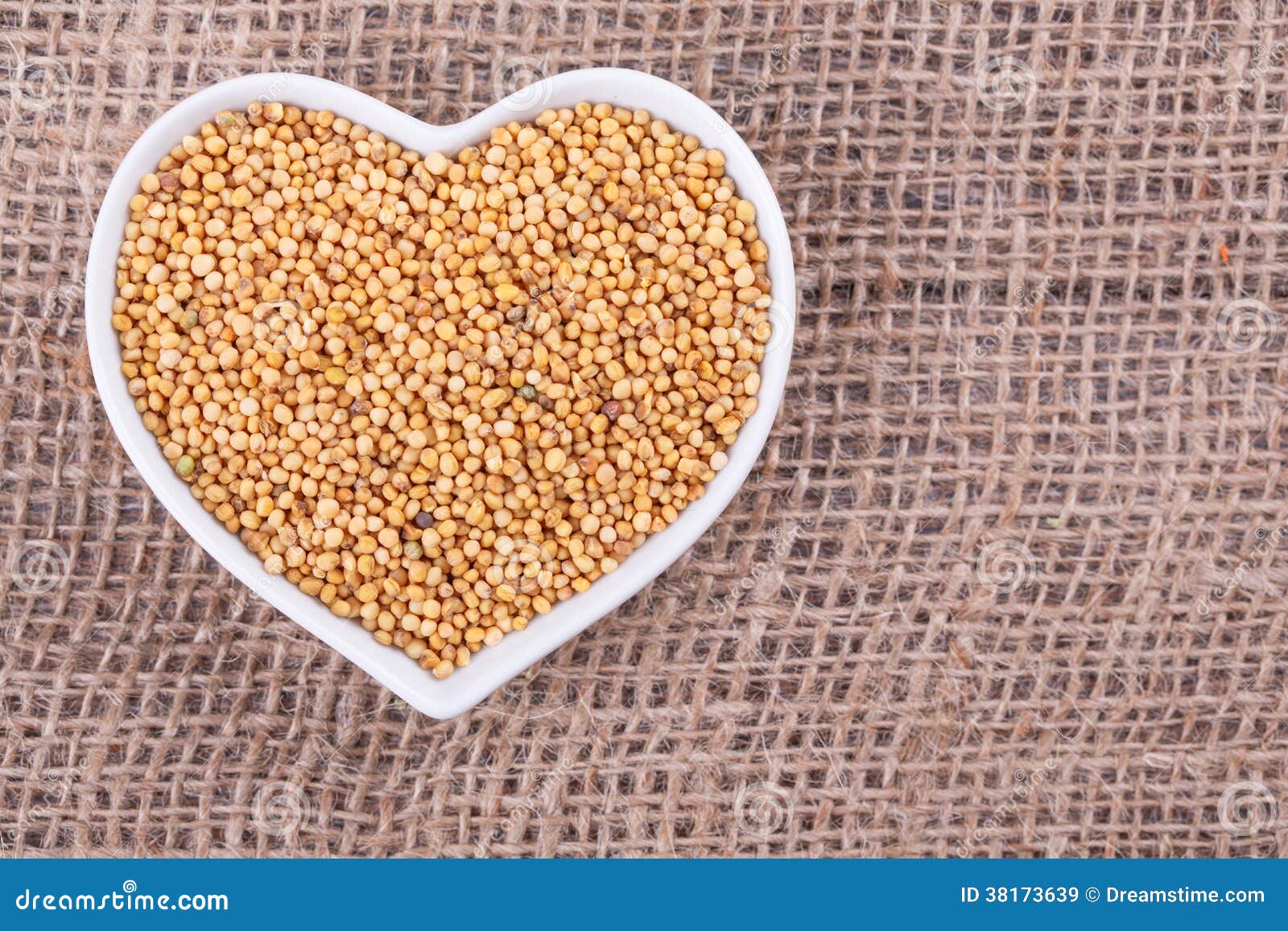 Mosterdzaad stock afbeelding. Image of geel, kruiden - 38173639