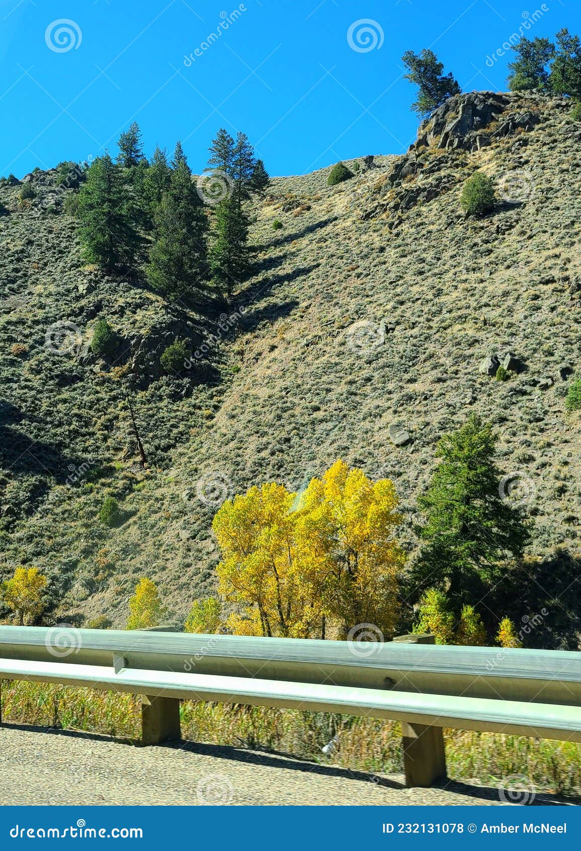 Mostly Dirt Small Cliffside in Colorado Stock Photo - Image of shrub ...