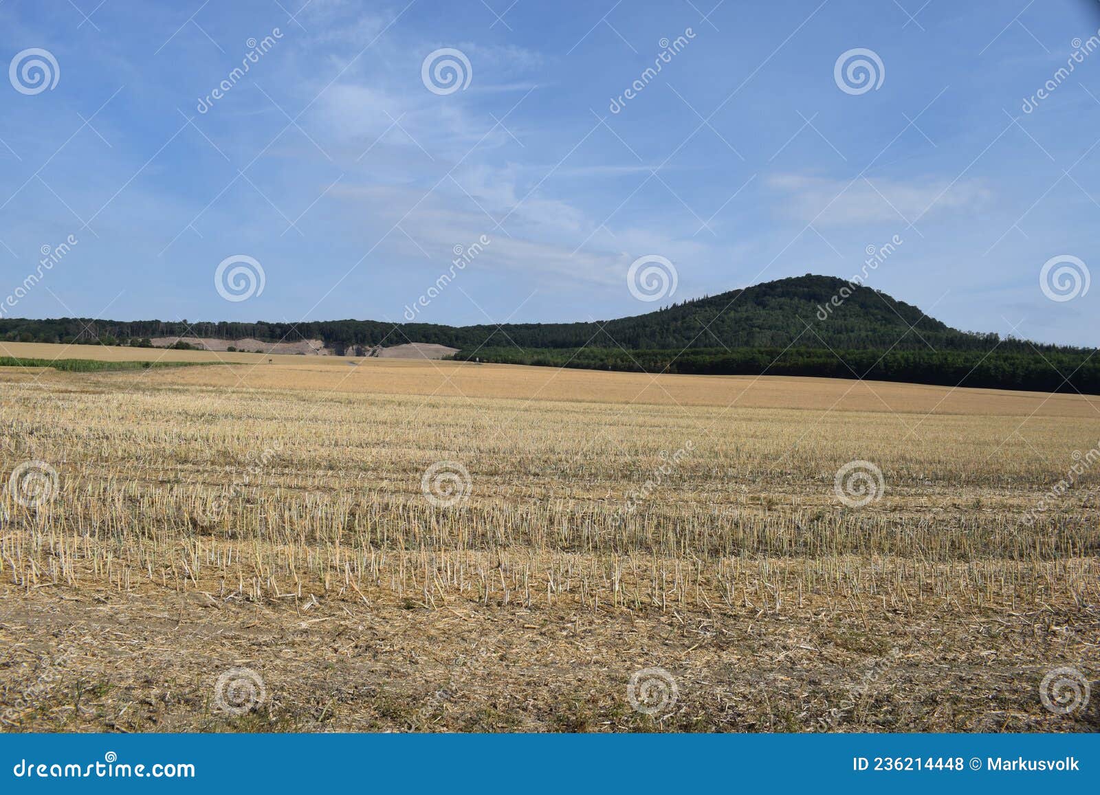 Mostly Harvestedwheat Fields with a Volcano Hill Behind Stock Photo ...