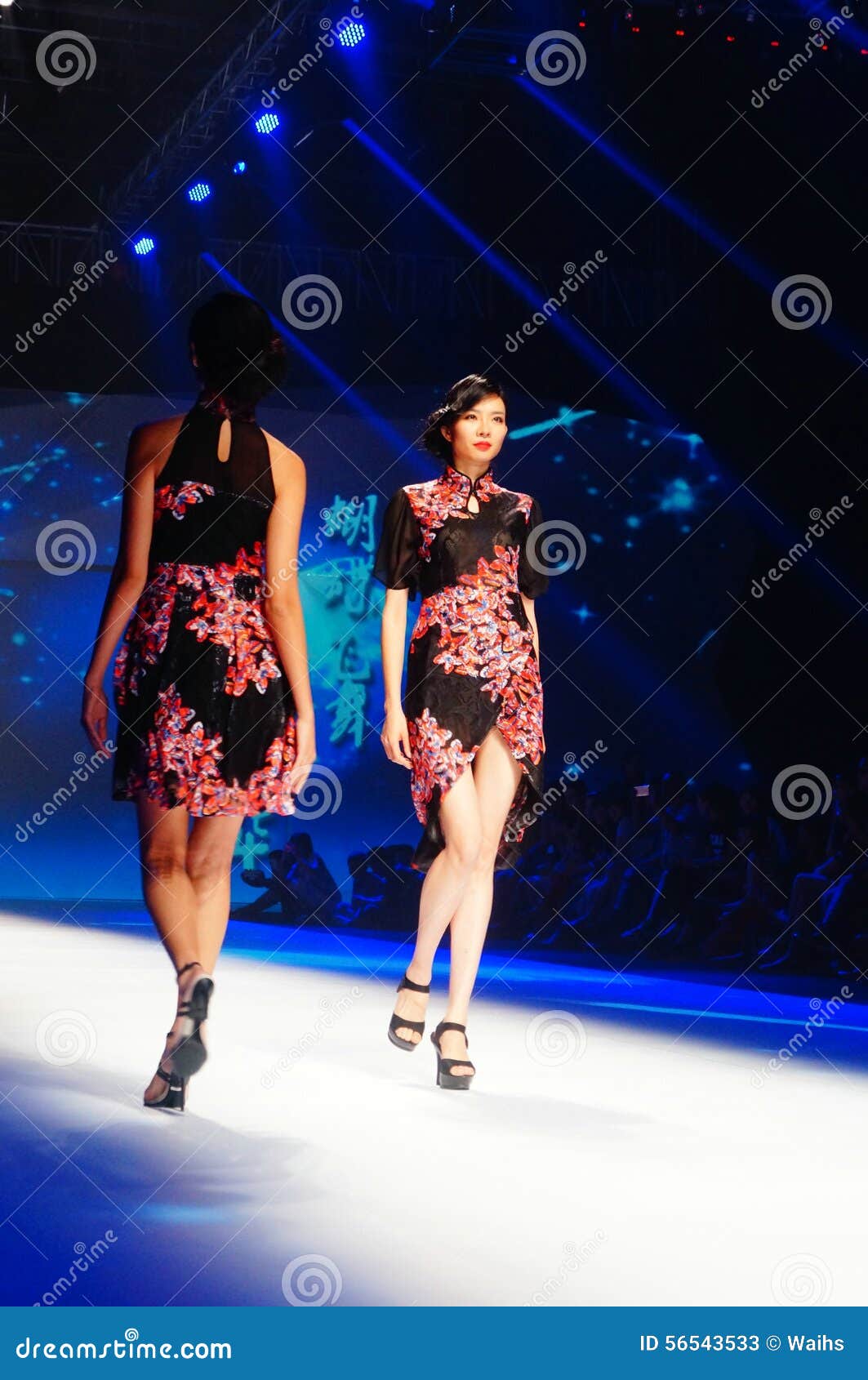 Mostra Tradicional Chinesa Do Modelo De Forma Foto de Stock Editorial ...