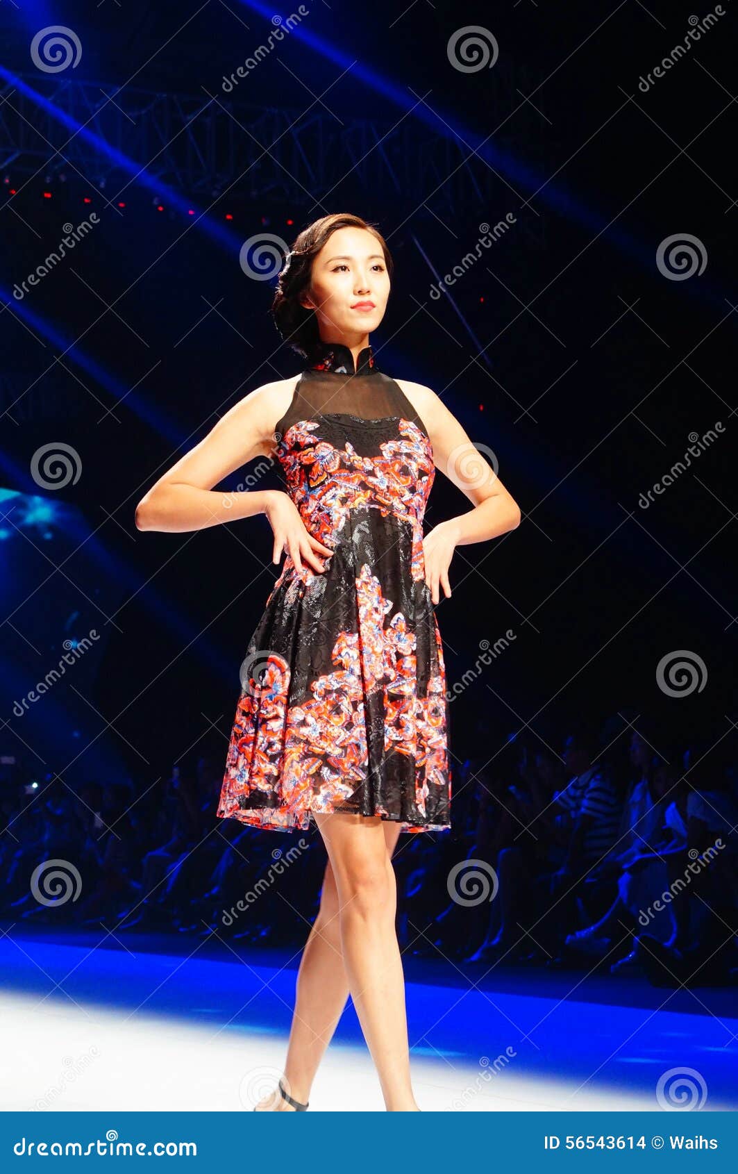 Mostra Tradicional Chinesa Do Modelo De Forma Imagem de Stock Editorial ...