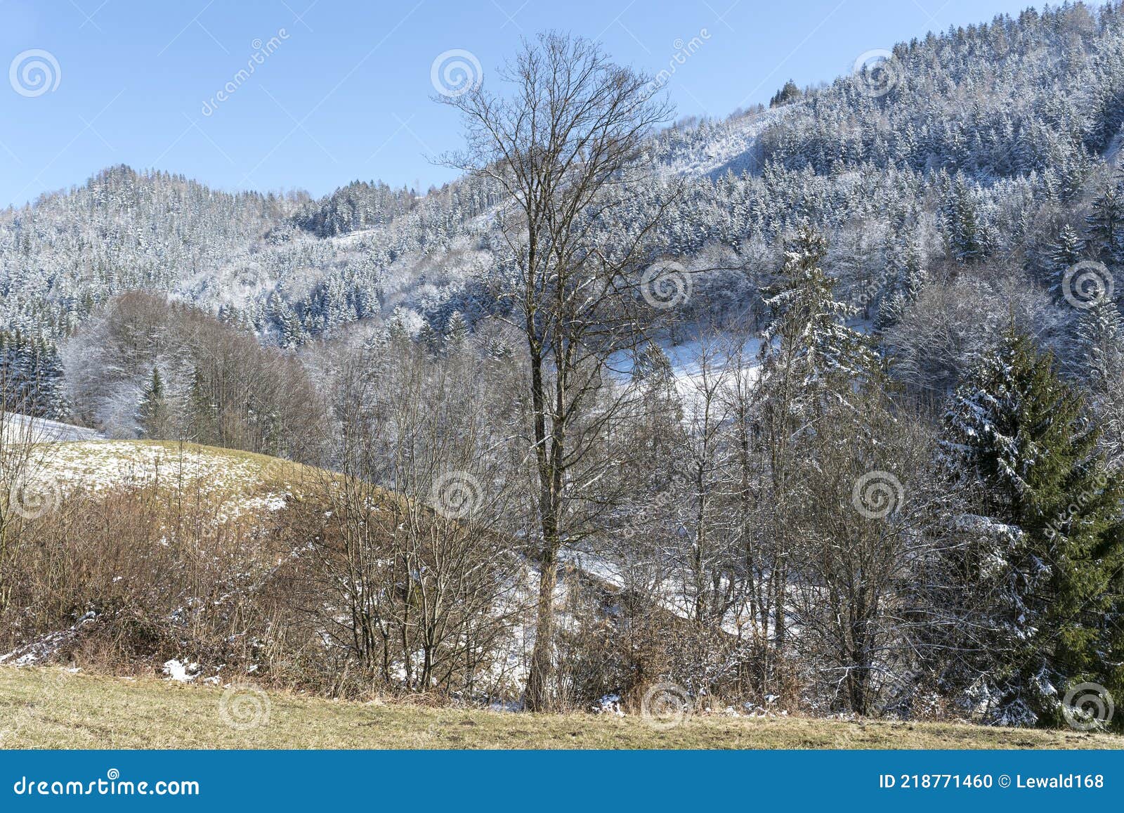Mostviertel in winter stock photo. Image of hike, austria - 218771460