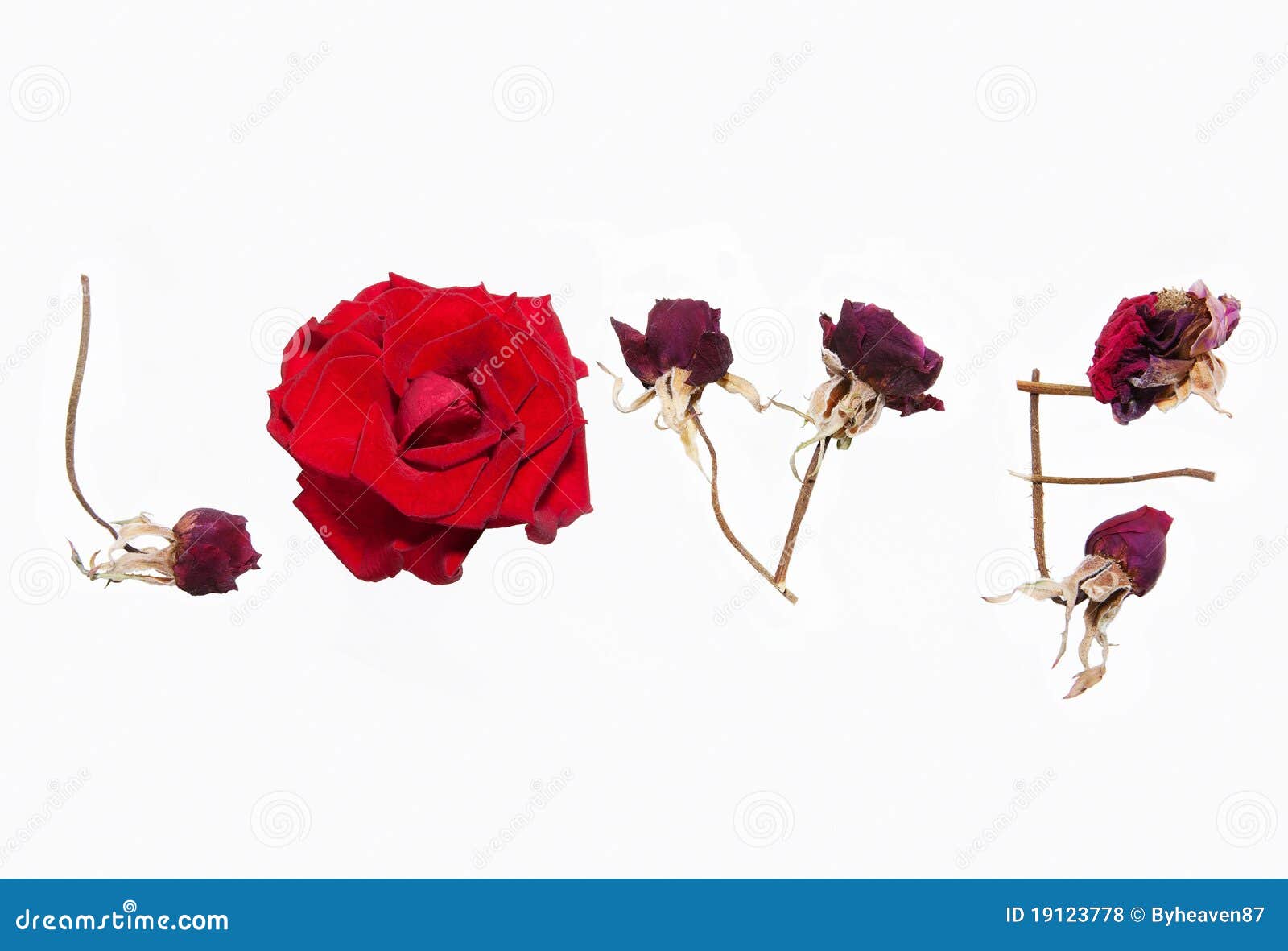 Mot D'amour Par Les Roses Rouges Photo stock - Image du caractère ...