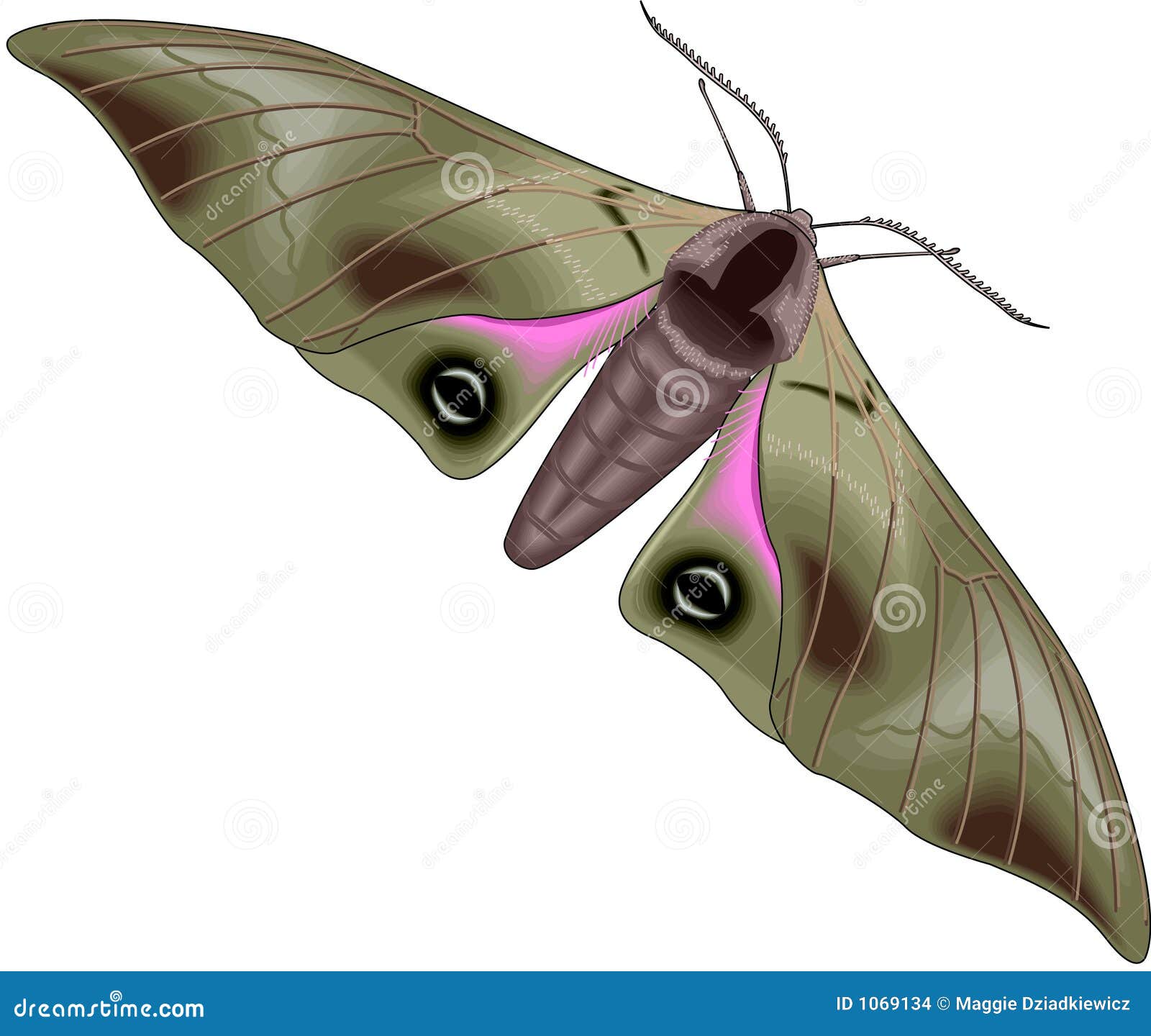 Moth Cartoons, Illustrations & Vector Stock Images - 70568 Pictures to ...