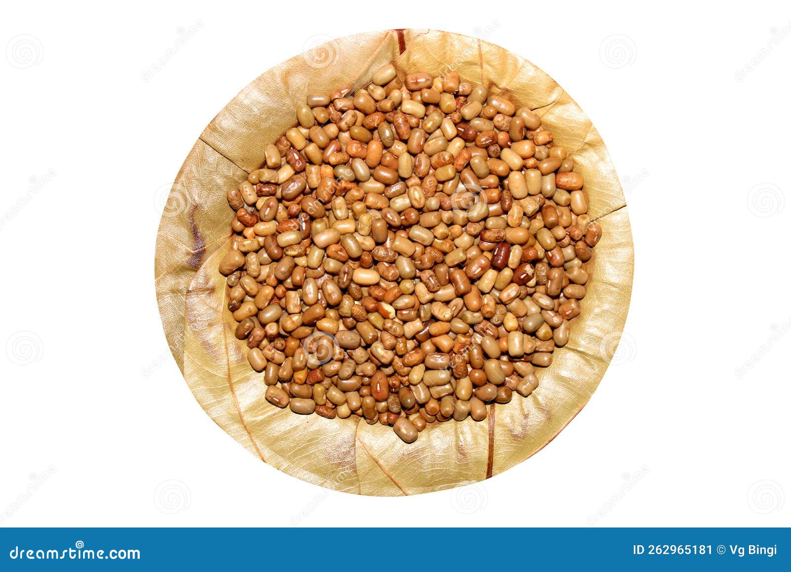 Moth Bean on a Sal Tree Leaf Plate Stock Image - Image of sarai, bean ...