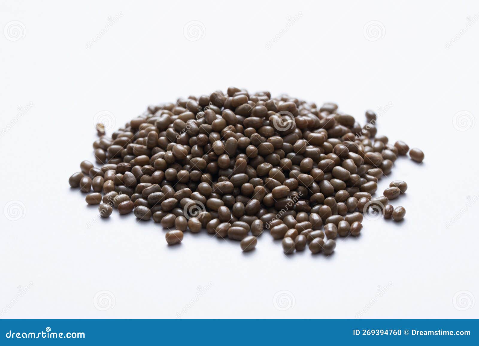 Moth Bean , Vigna Aconitifolia, Satara, Maharashtra Stock Photo - Image ...