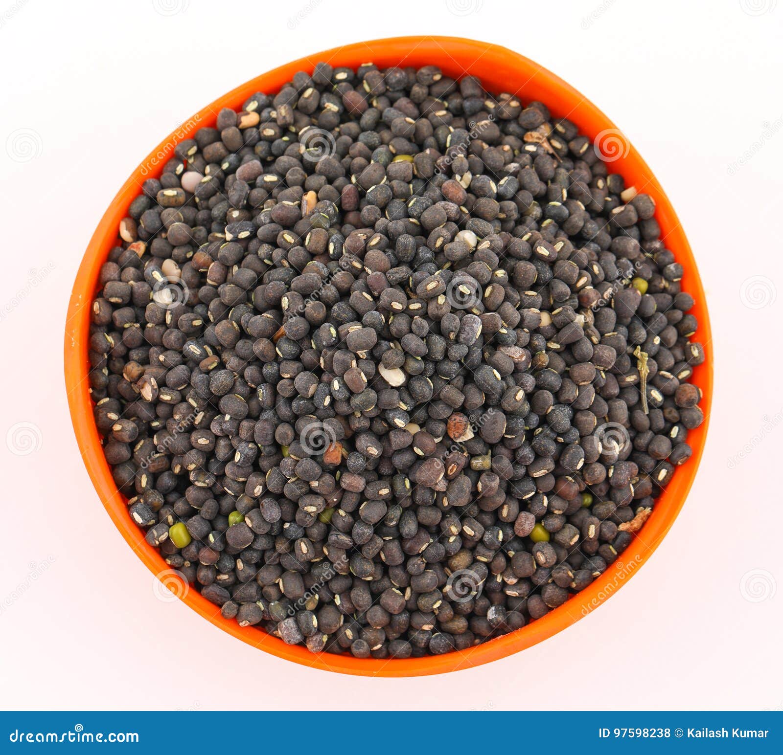 Moth Beans Vigna Aconitifolia Stock Photo - Image of multi, macrobiotic ...