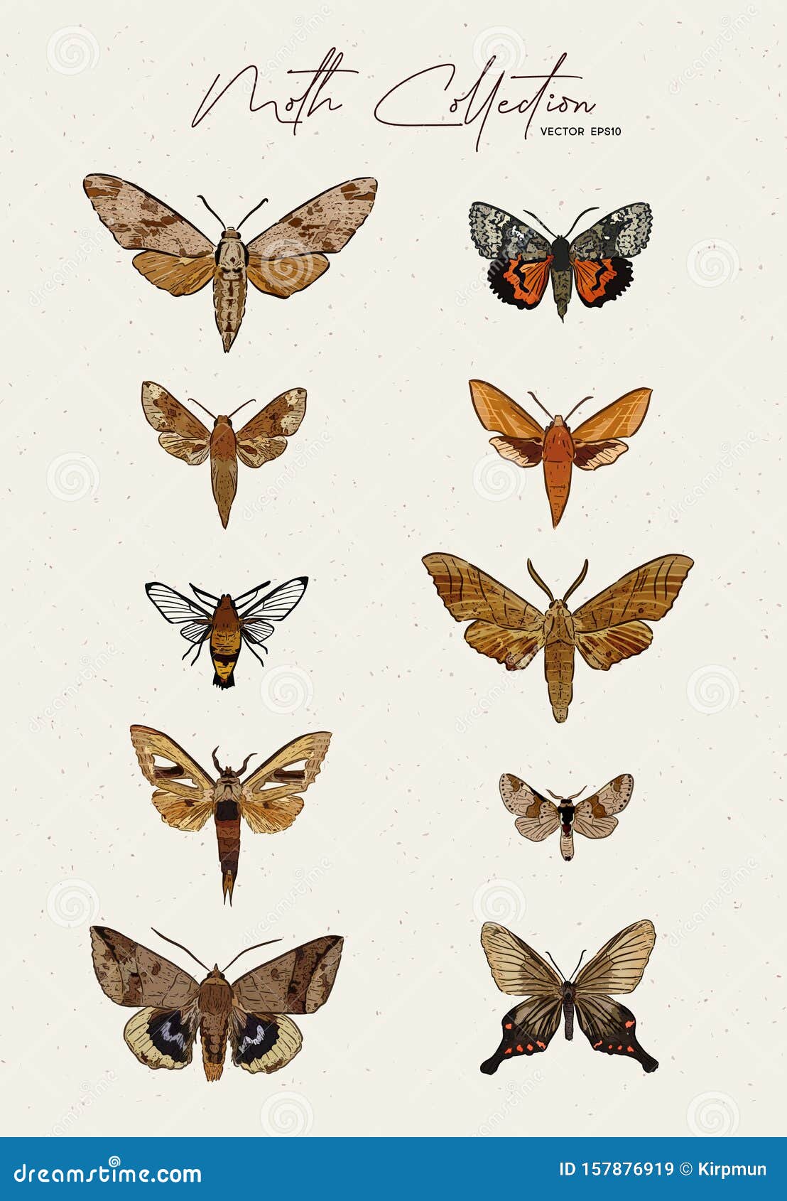 Moth Collection, Hand Draw Sketch Vector Stock Vector - Illustration of ...