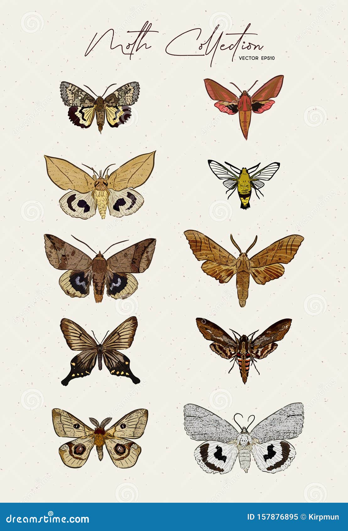 Moth Collection, Hand Draw Sketch Vector Stock Vector - Illustration of ...