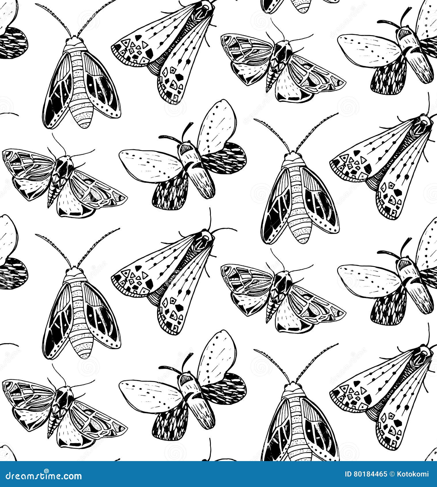Moth Seamless Pattern. Hand Drawn Illustration of Flying Insects. Black ...