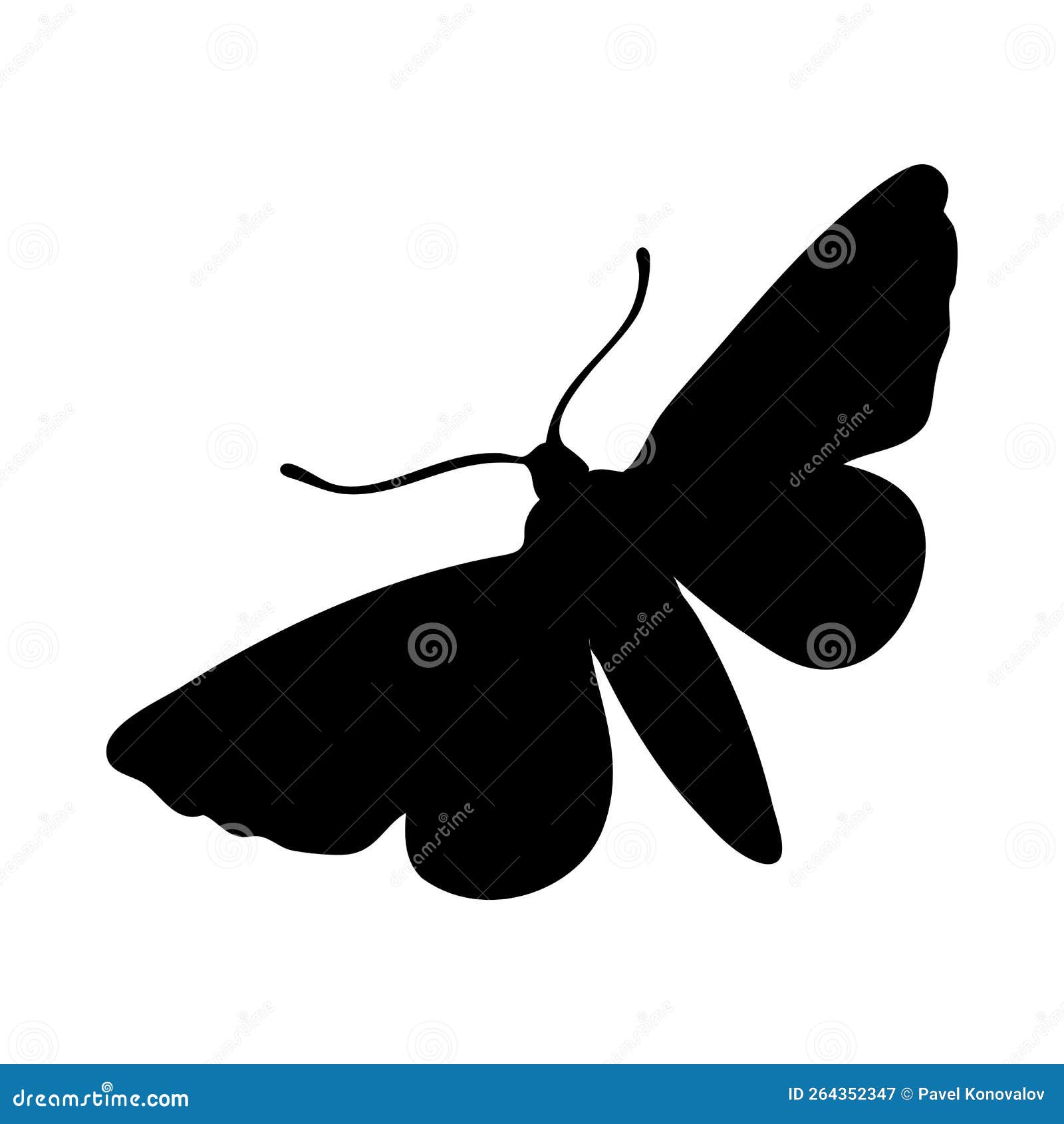 Moth Silhouette stock vector. Illustration of nocturnal - 264352347