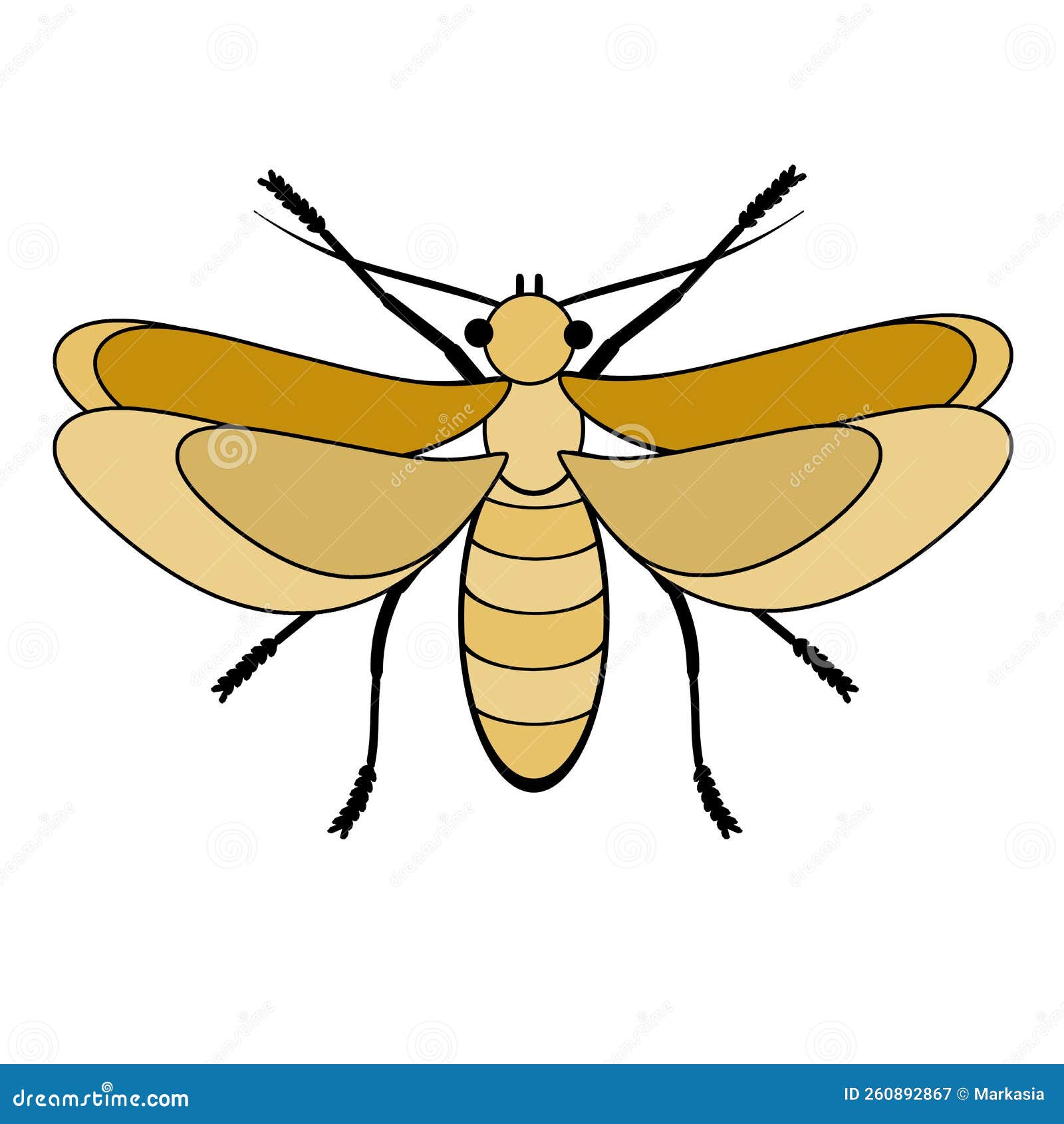 Moth on a White Background. Stock Illustration - Illustration of ...