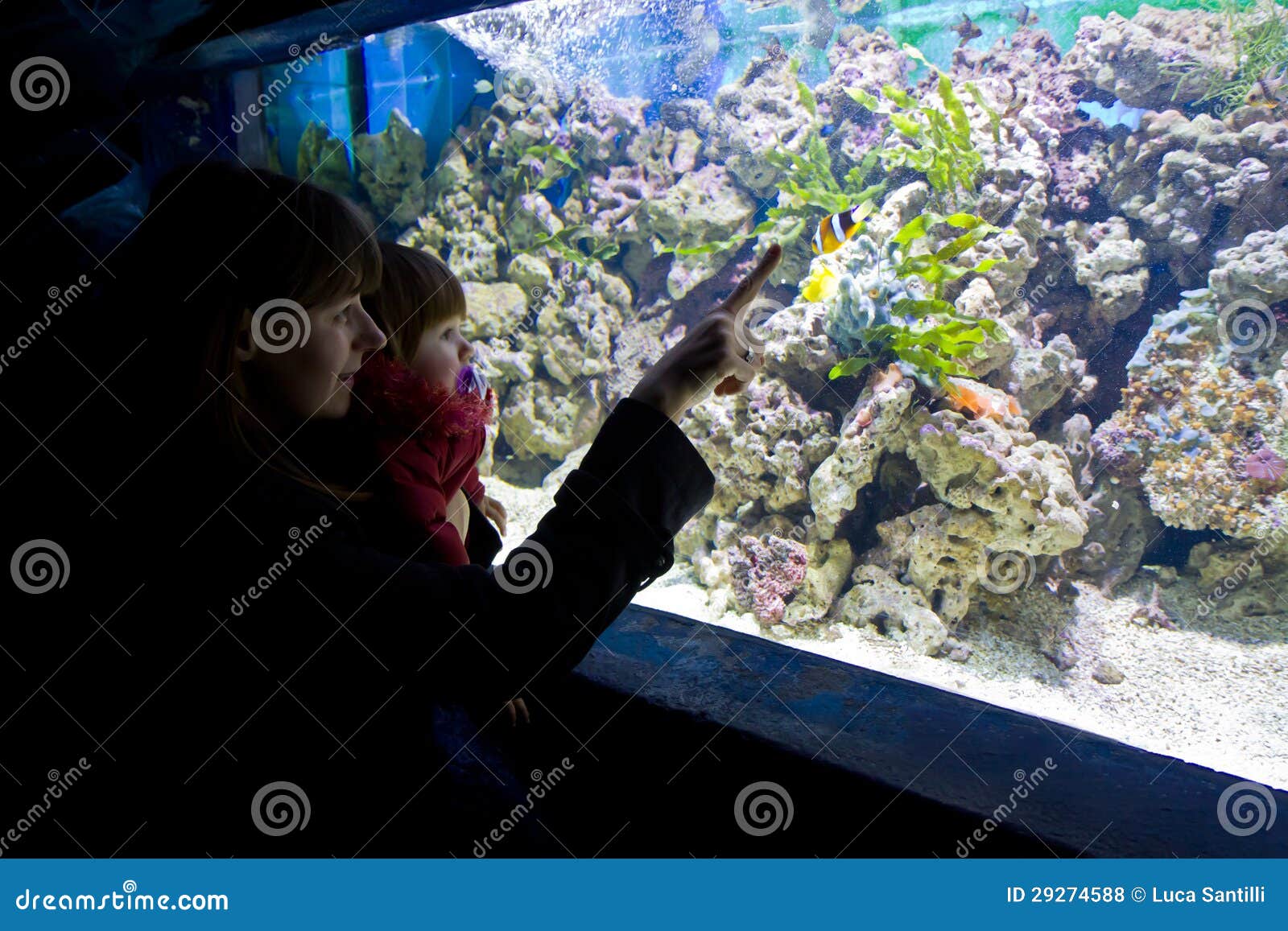 Mother and Baby Child Looking Fish Stock Photo - Image of aquarium ...