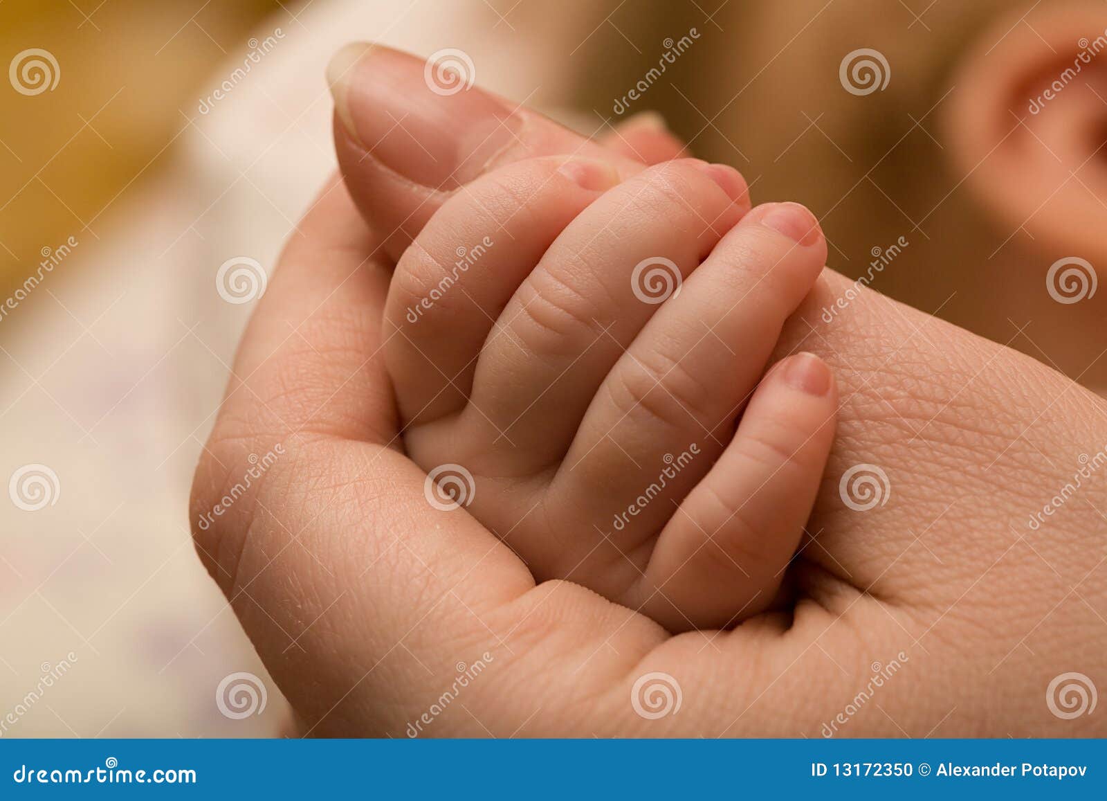 Mother and baby hands stock photo. Image of finger, adult - 13172350