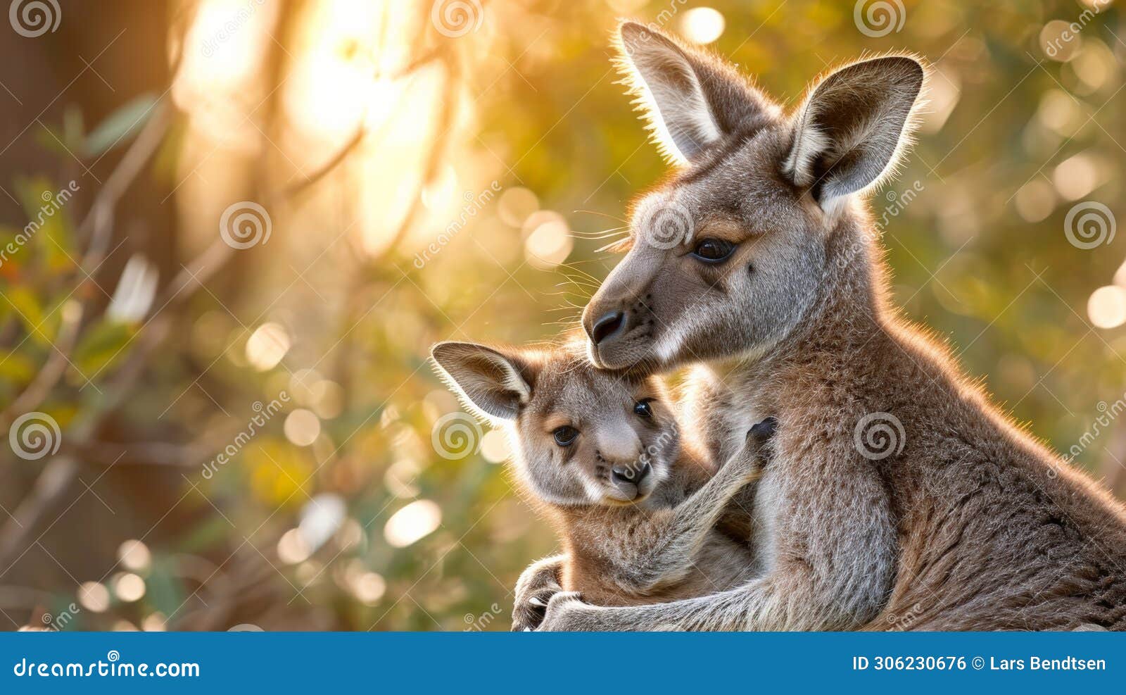 Mother and Baby Kangaroo Hugging - AI Generated Stock Illustration ...