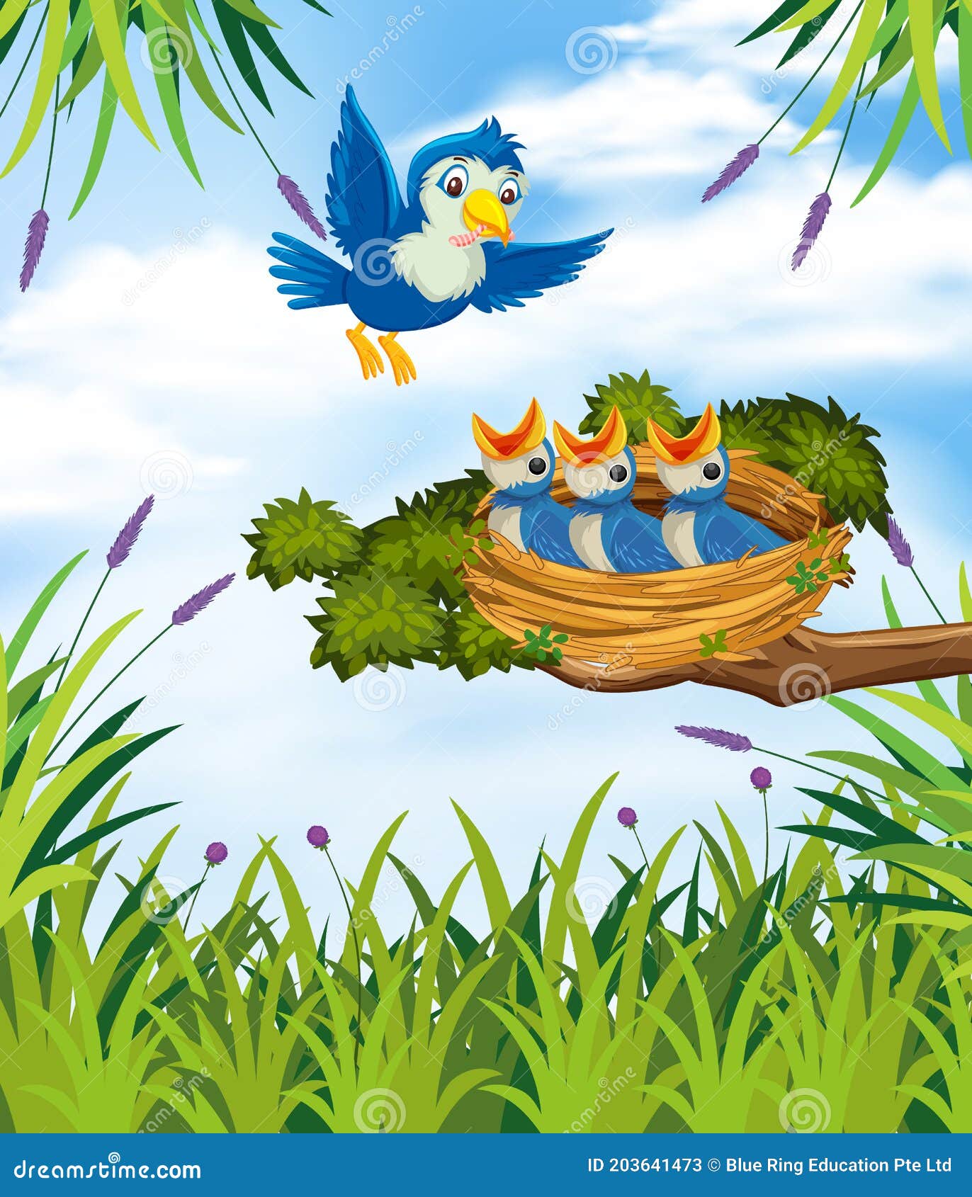 Mother bird feeding chicks stock vector. Illustration of cartoon ...