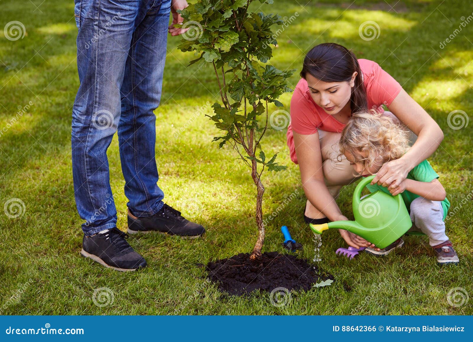 Child Is Watering The Plant Outside The House, Concept Of Plant Growing ...