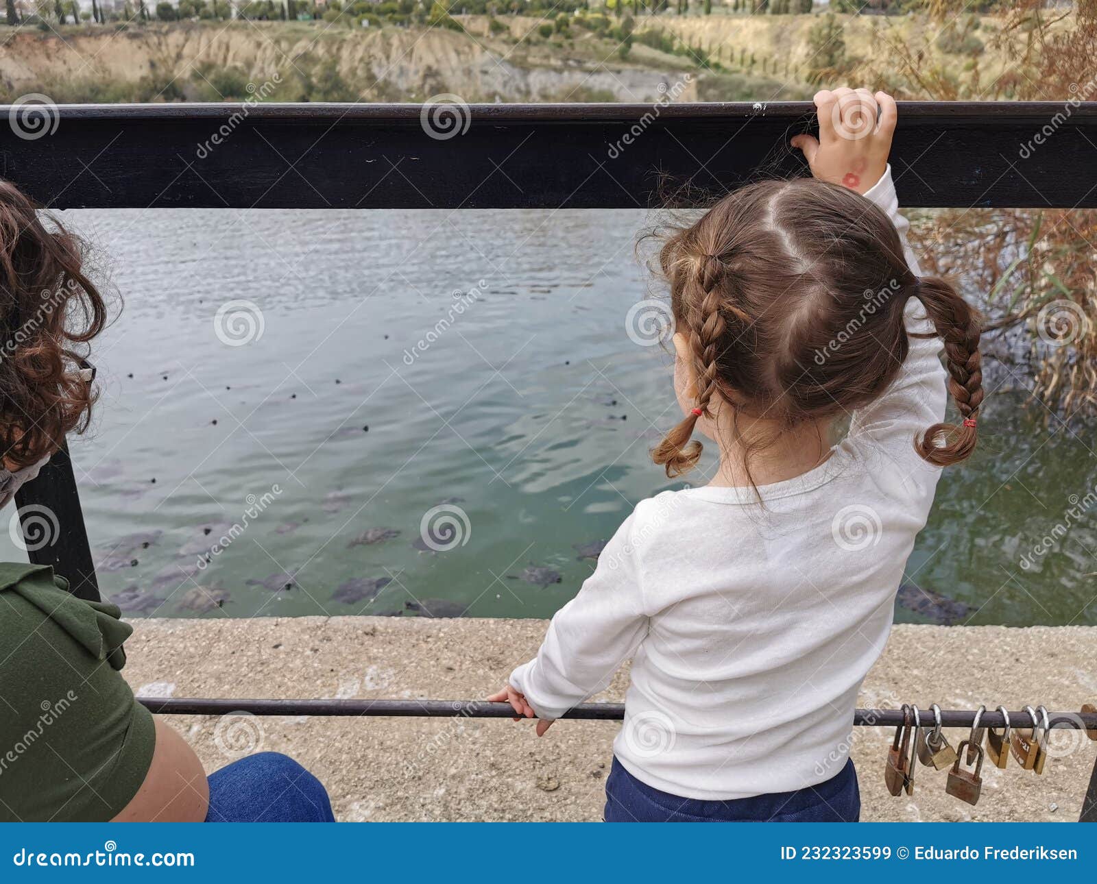 Two Sea Turtles Back Light Stock Image | CartoonDealer.com #142261675