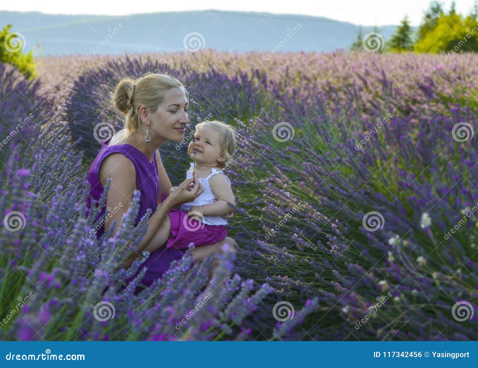 Mother and Daughter in a Lavender Field Stock Photo - Image of france ...