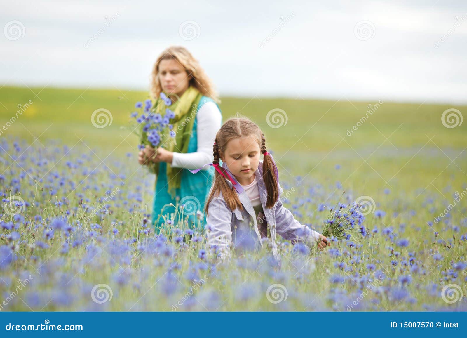 Mother and Daughter Picking Flowers Stock Photo - Image of mother ...