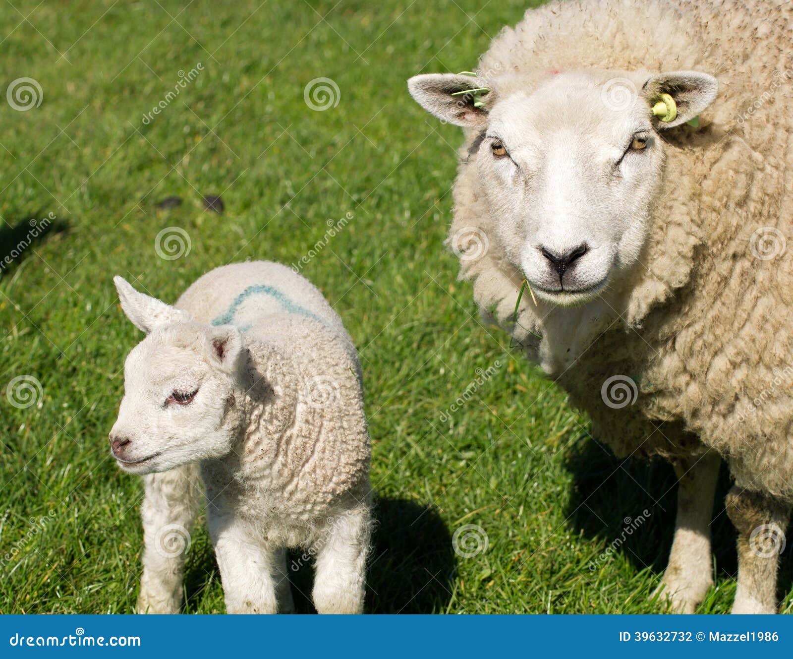 Mother and Daughter stock photo. Image of daughter, little - 39632732