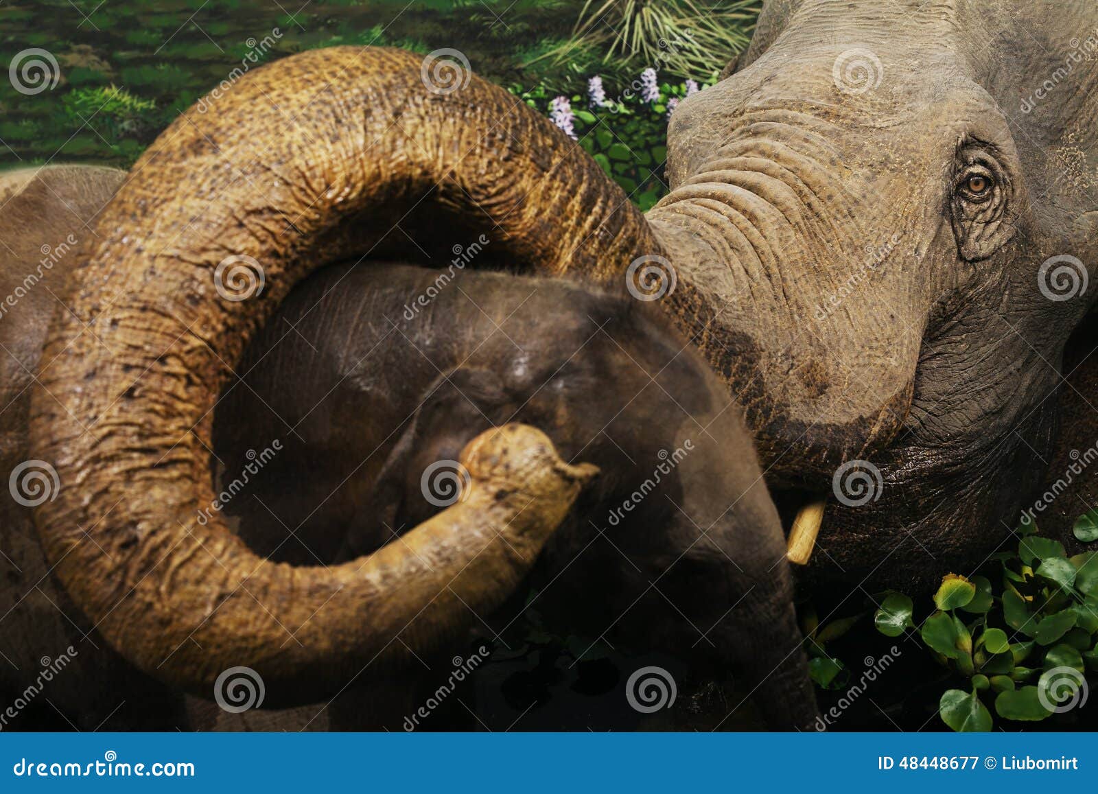 Mother Elephant Hugging Her Baby Stock Image - Image of hairy, hair ...
