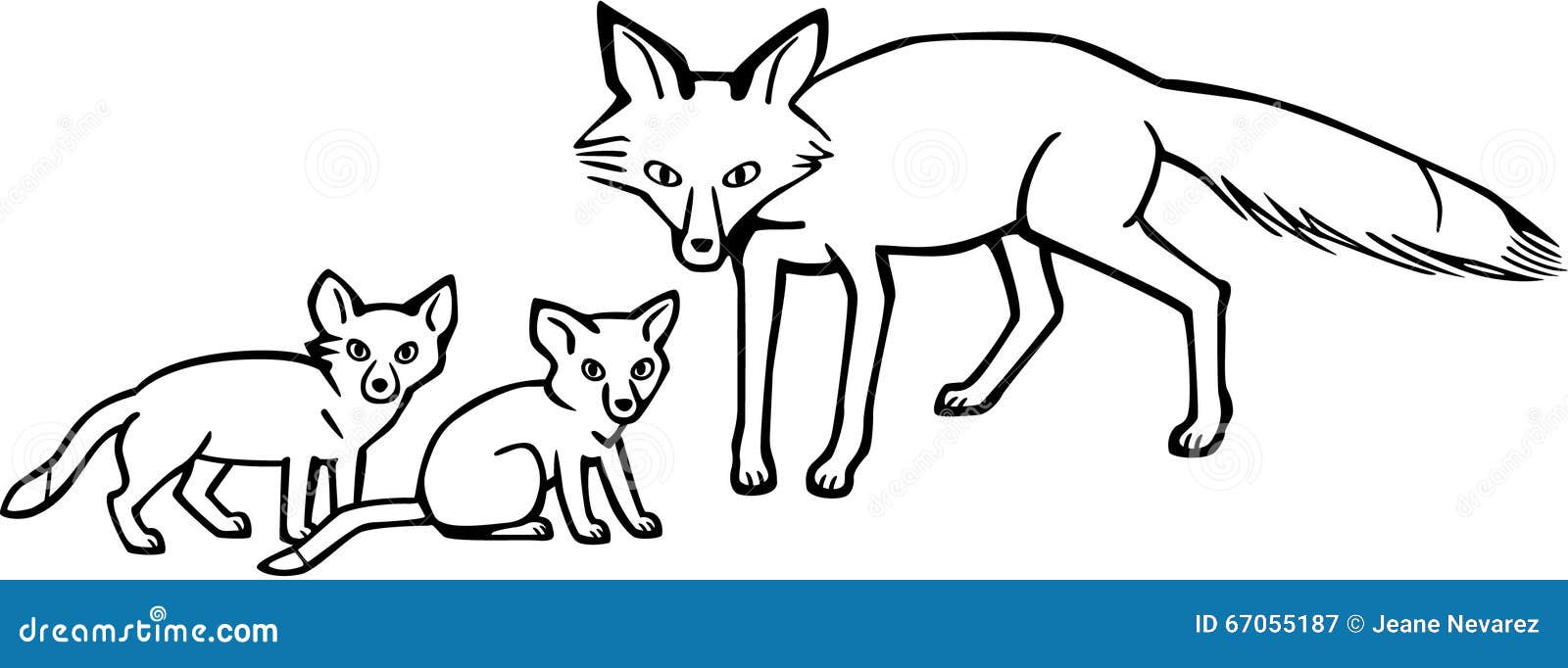 Mother Fox and Cubs stock vector. Illustration of mammal - 67055187