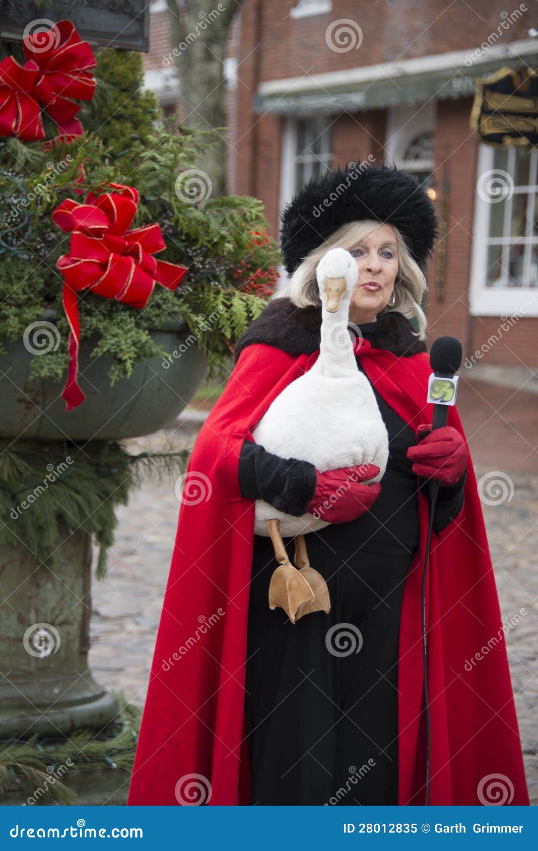 Mother Goose editorial image. Image of tales, nantucket - 28012835