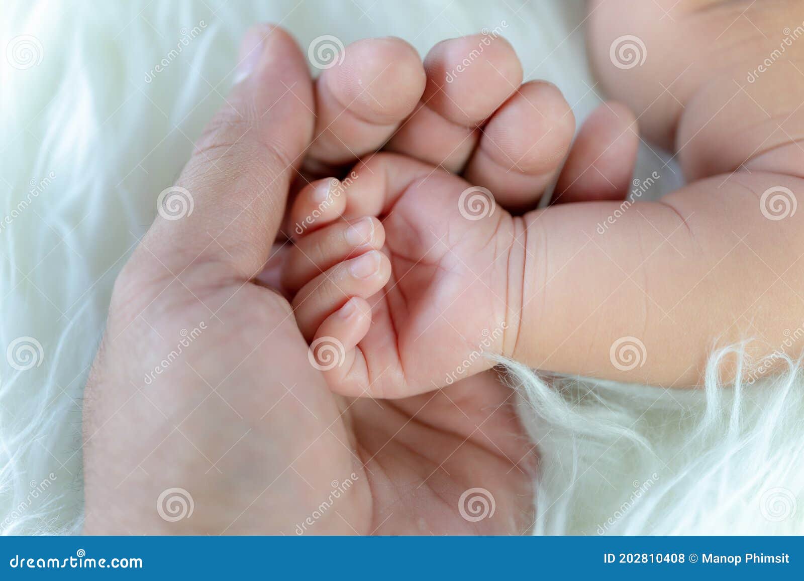 Mother Hand and Newborn Hand Stock Photo - Image of foot, baby: 202810408
