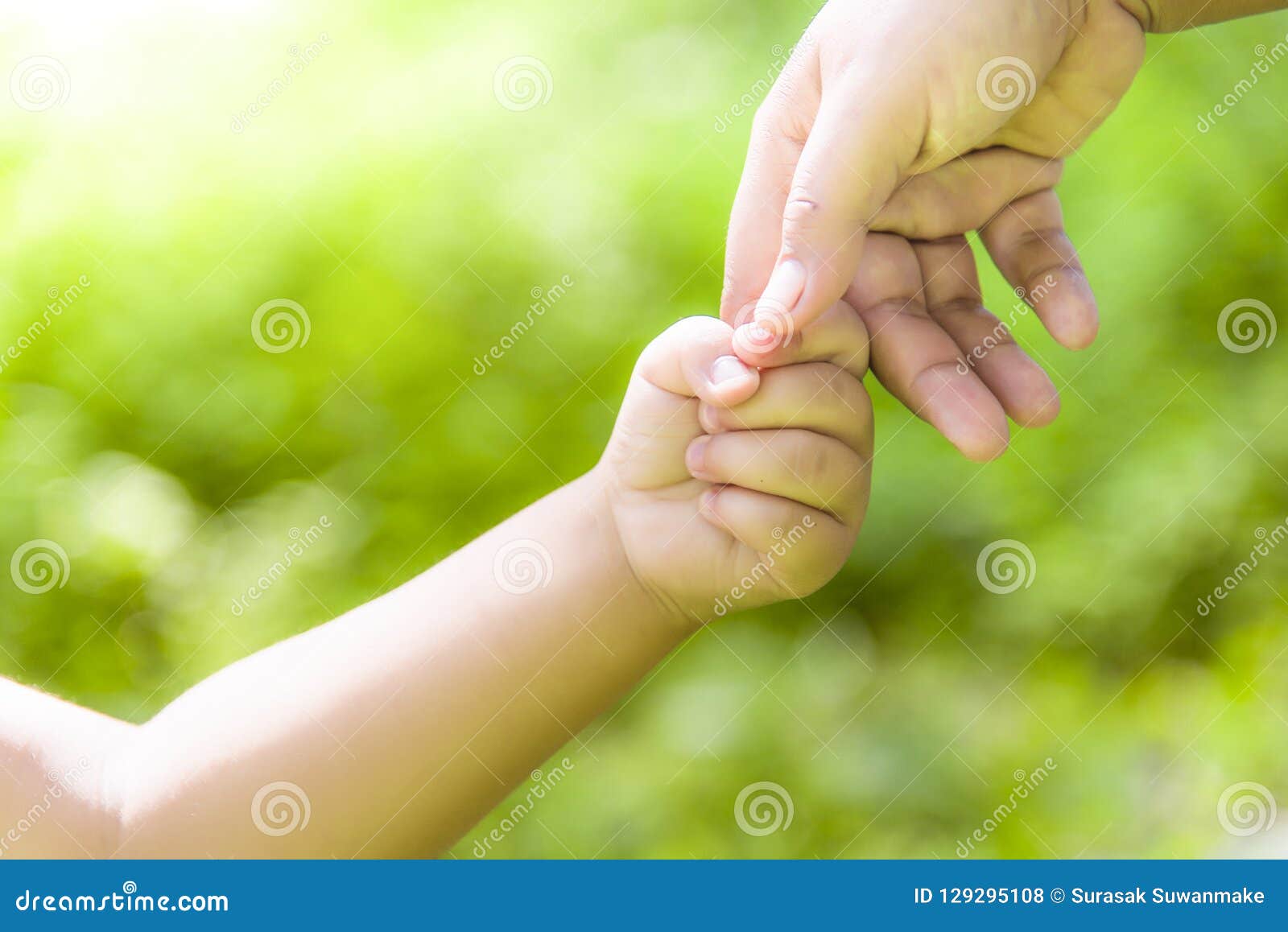 Mother Is Holding Hands With Boy Boy In The Wild.Hand In Hand Walking ...