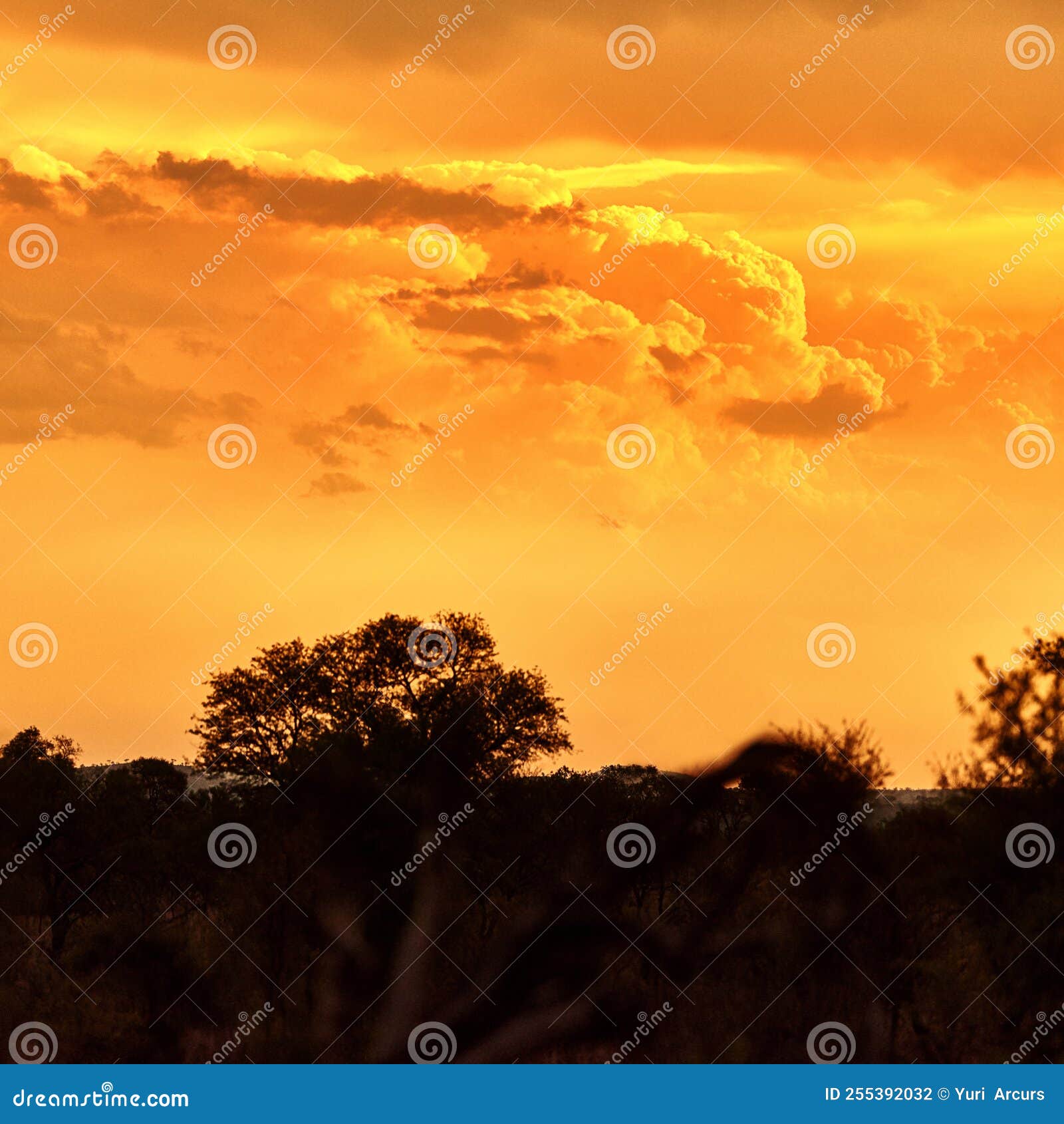 Mother Nature is Beautiful at Sunset. the African Bush at Sunset. Stock ...